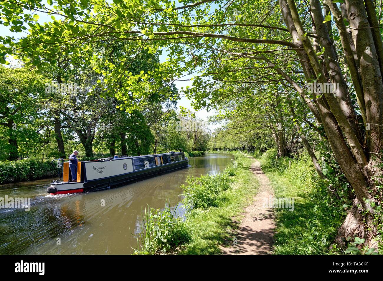 A narrow boat cruising on the River Wey navigation near Newark Abbey on ...