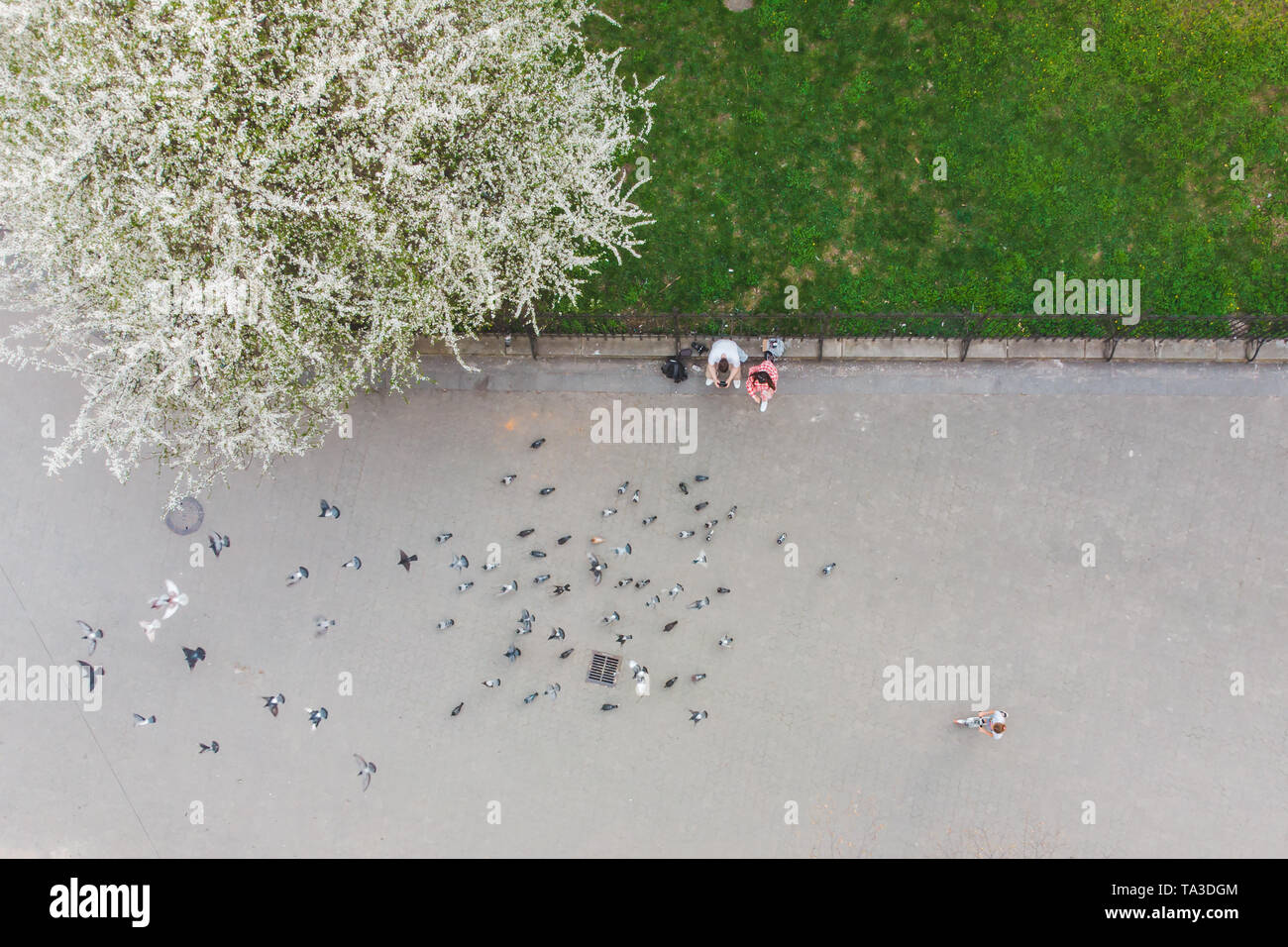 Top aerial view people sitting hi-res stock photography and images - Alamy