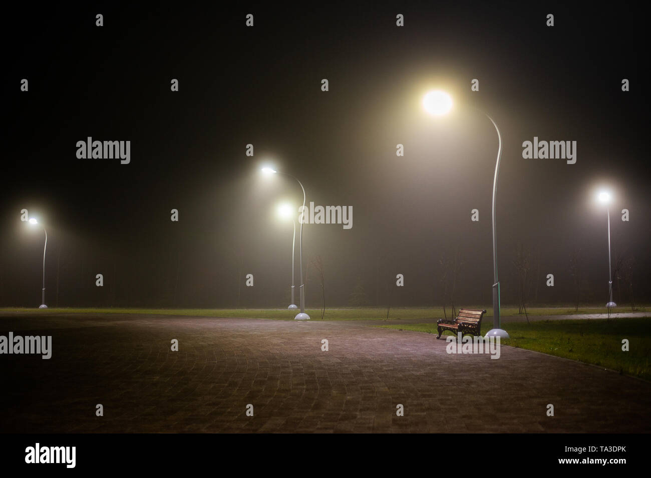 bench in night misty park with tall lights and selective focus Stock ...