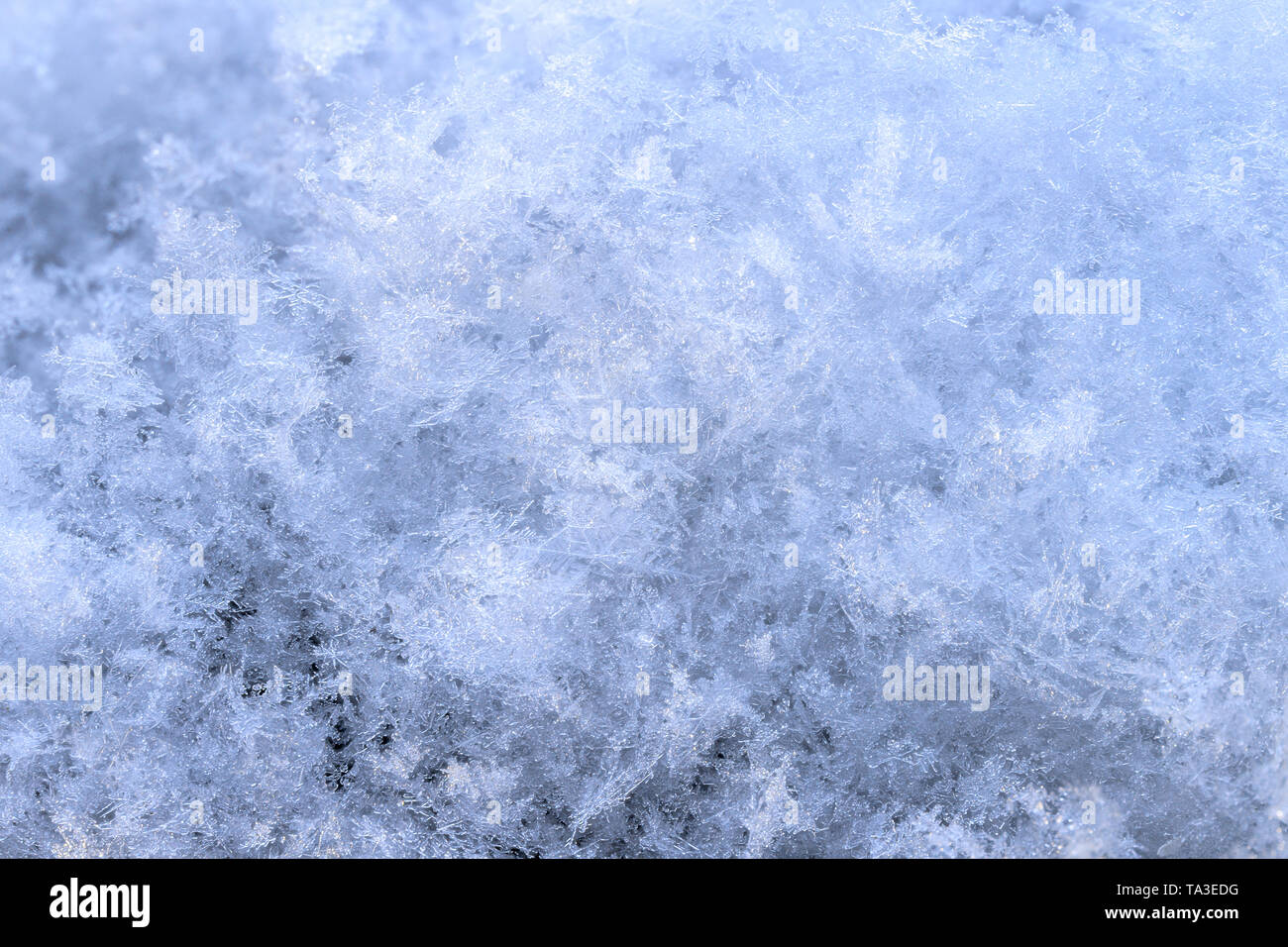 snow array with high magnification winter background Stock Photo - Alamy