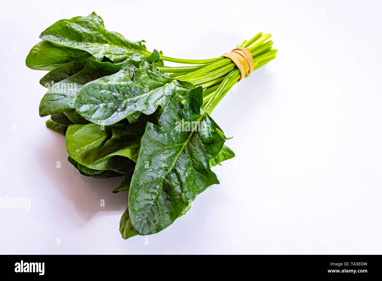 Bunch of green fresh organic spinach leaves close up copy space top ...