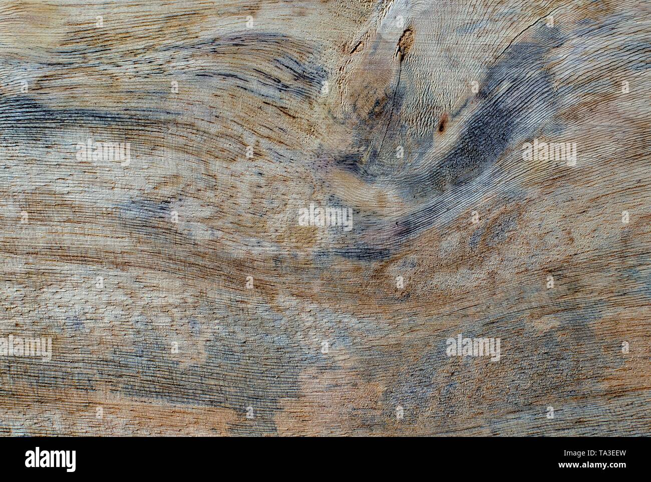 Macro photography of different textures of wood produced naturally by ...