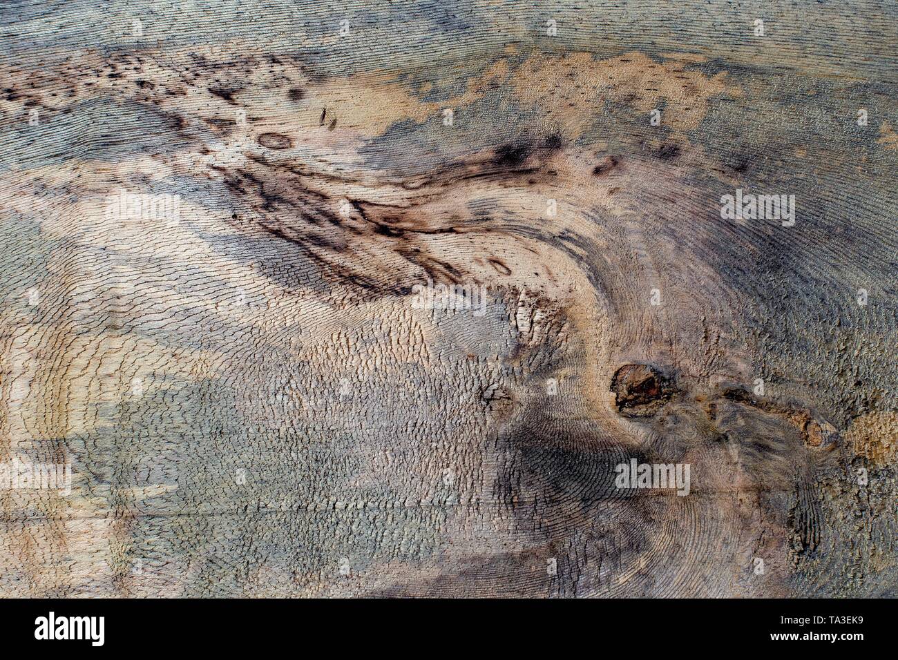 macro-photography-of-different-textures-of-wood-produced-naturally-by