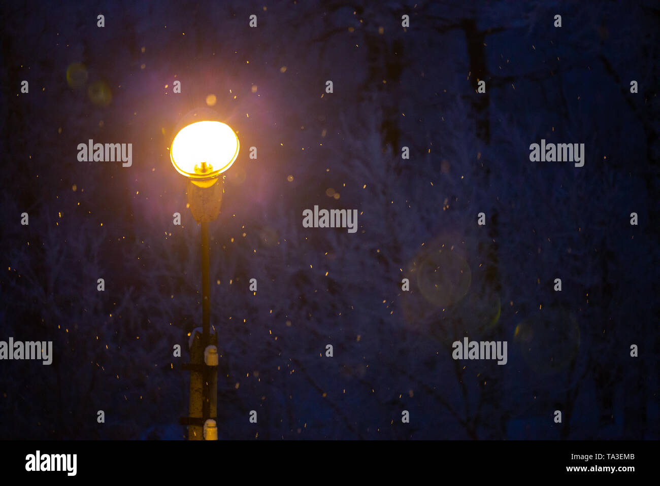 natural lens flare from winter night street light with selective focus ...