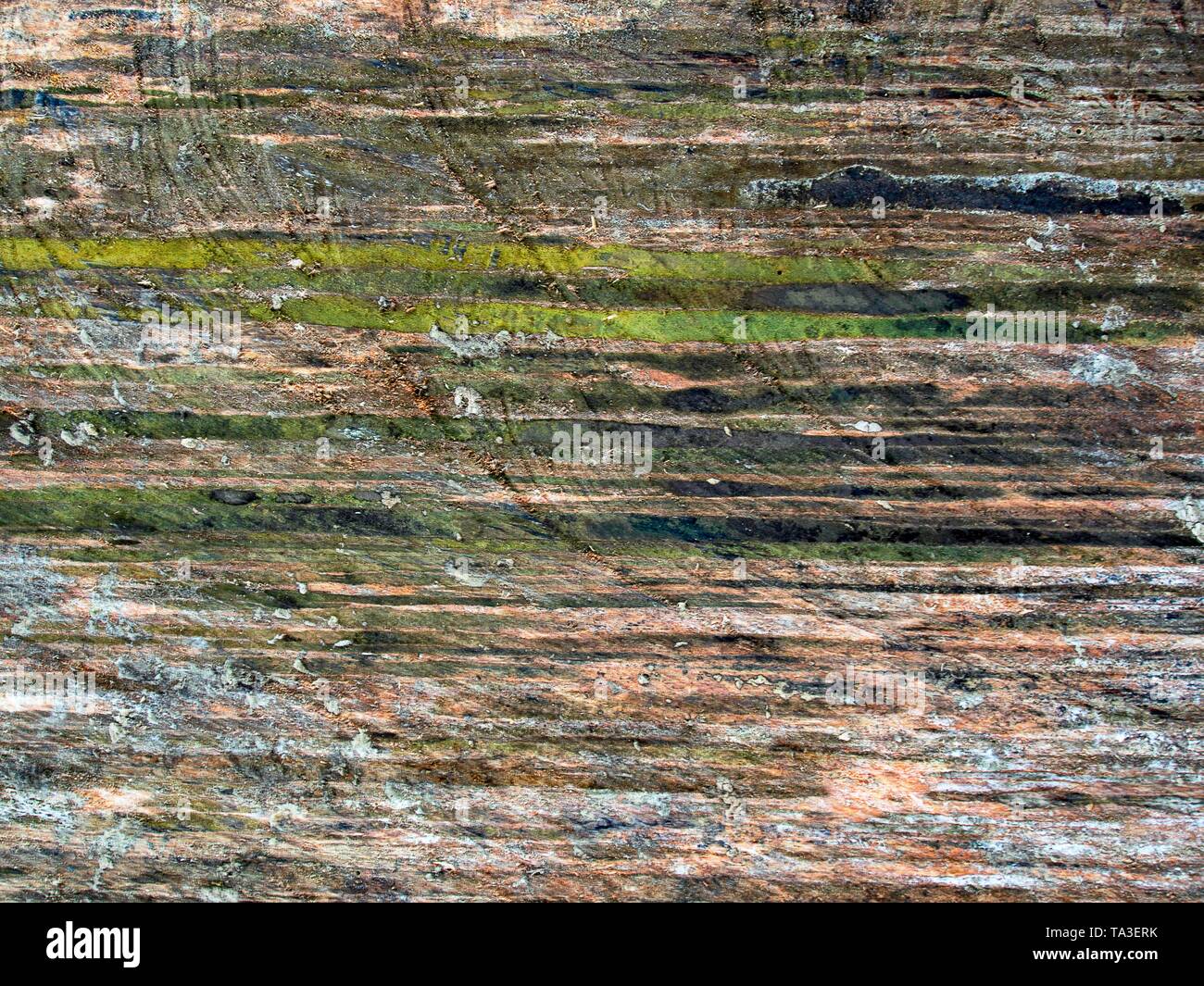 macro-photography-of-different-textures-of-wood-produced-naturally-by