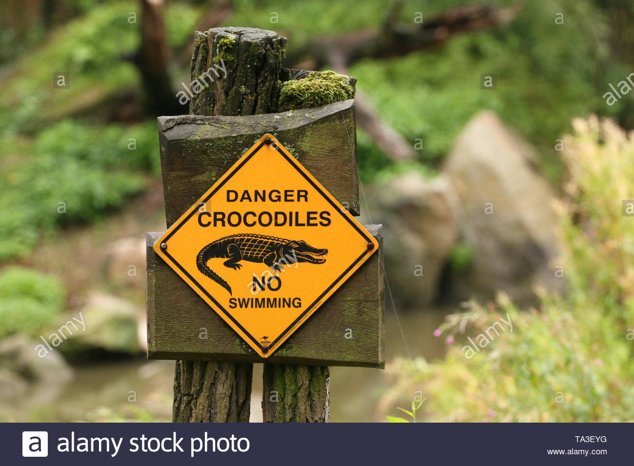 Warning Sign Danger Crocodiles Stock Photos & Warning Sign Danger ...