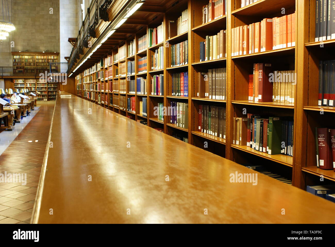 Librarie knowledge hi-res stock photography and images - Alamy