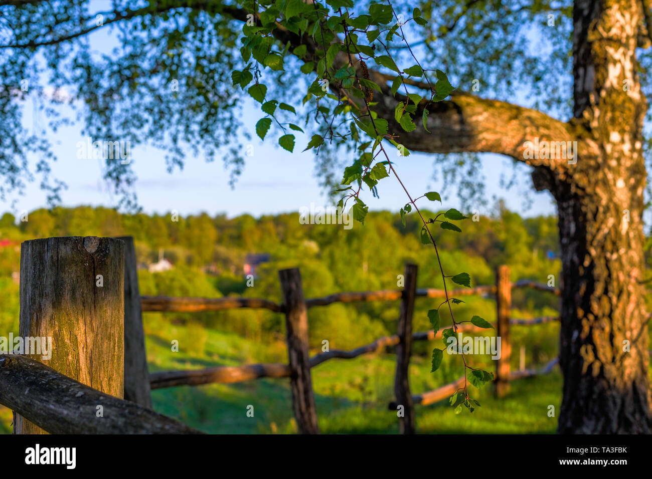 rustic view with log fence on hill Stock Photo - Alamy