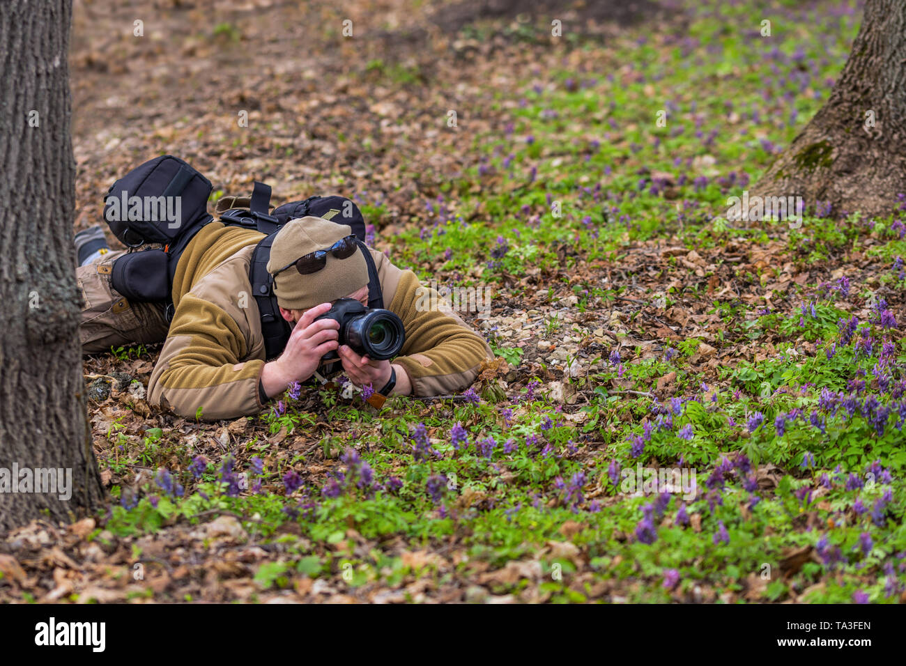Sneaky camouflage hi-res stock photography and images - Alamy