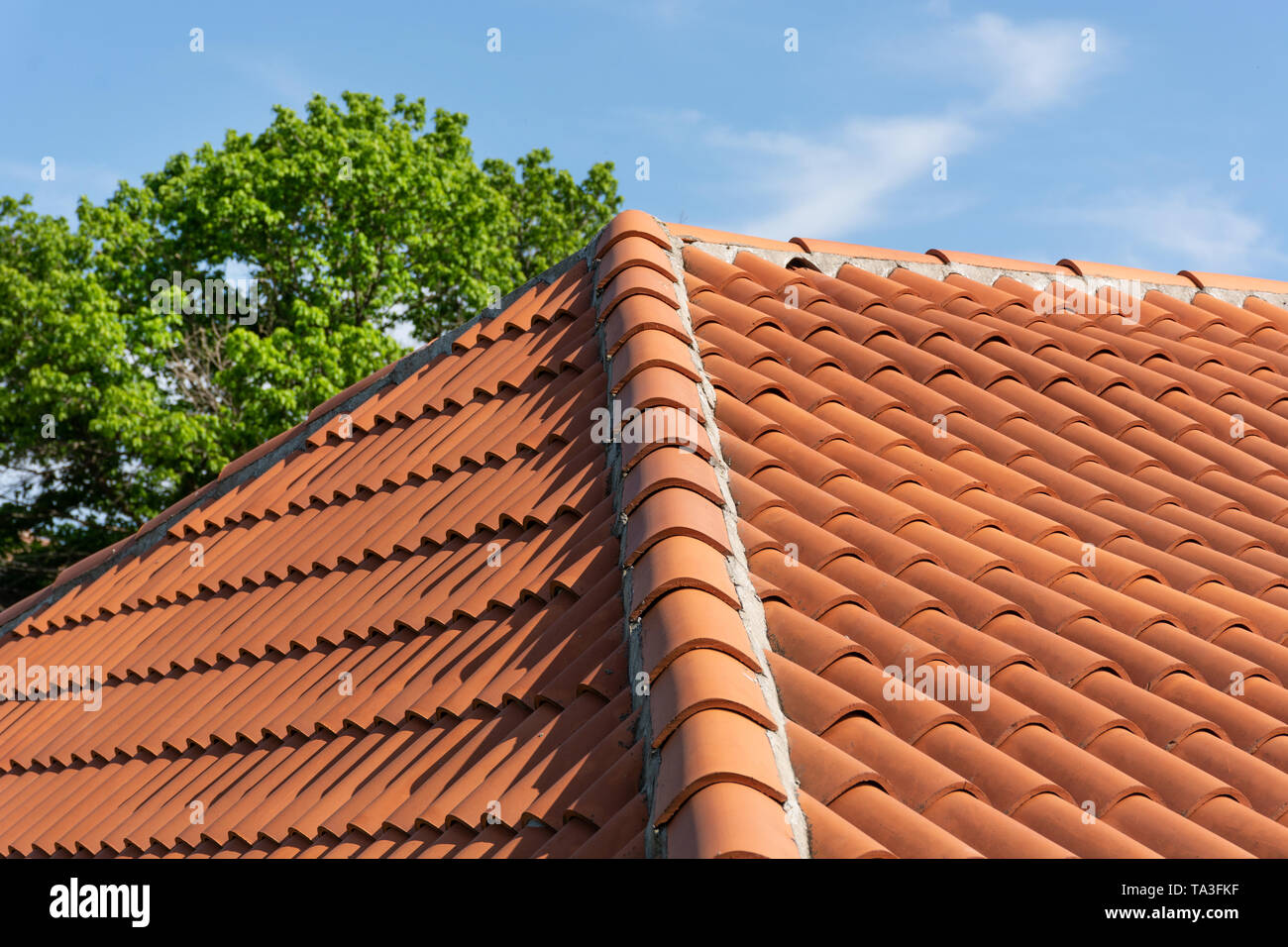 Orange roof tile pattern over blue and cloudy spring sky day and green ...