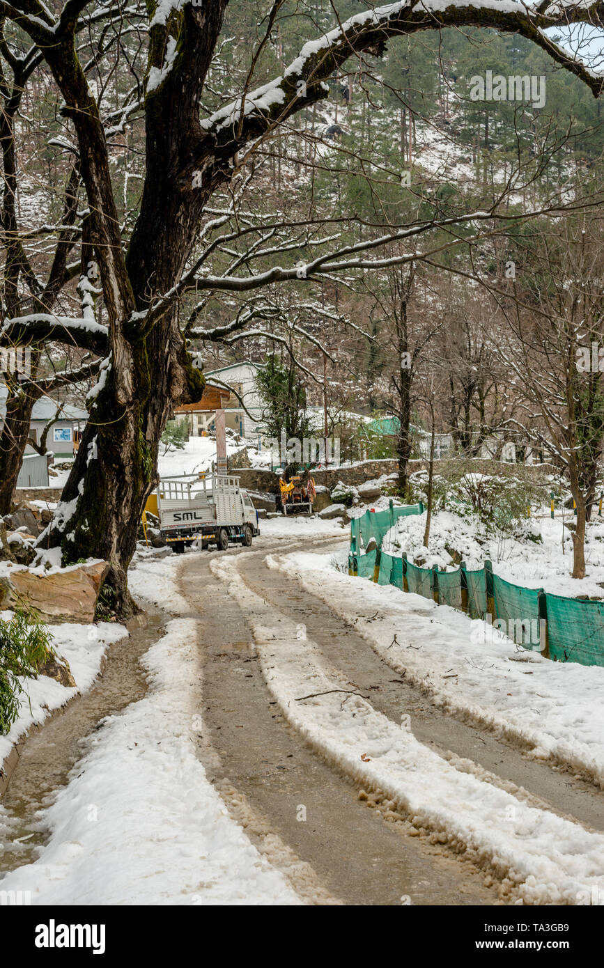 Kullu, Himachal Pradesh, India - Feburuary 08, 2019 : Snow covered road ...