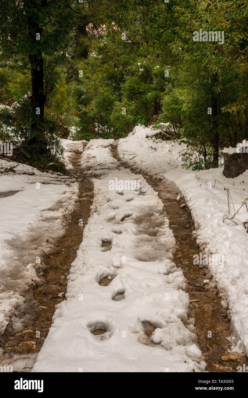 Snow covered road in mountains - Majestic winter landscape in himalayas ...