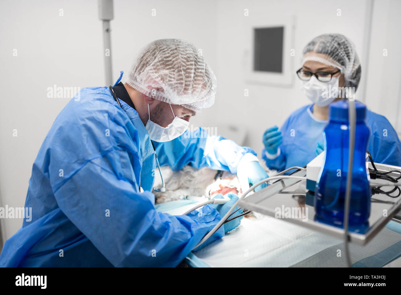 Operating room surgeon calm hi-res stock photography and images - Alamy