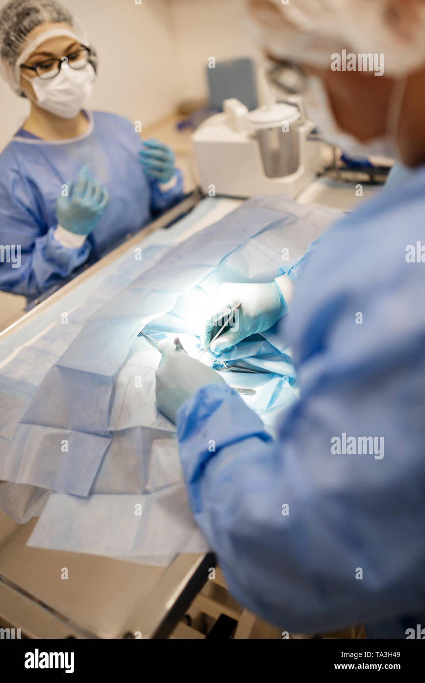 Operating room surgeon calm hi-res stock photography and images - Alamy