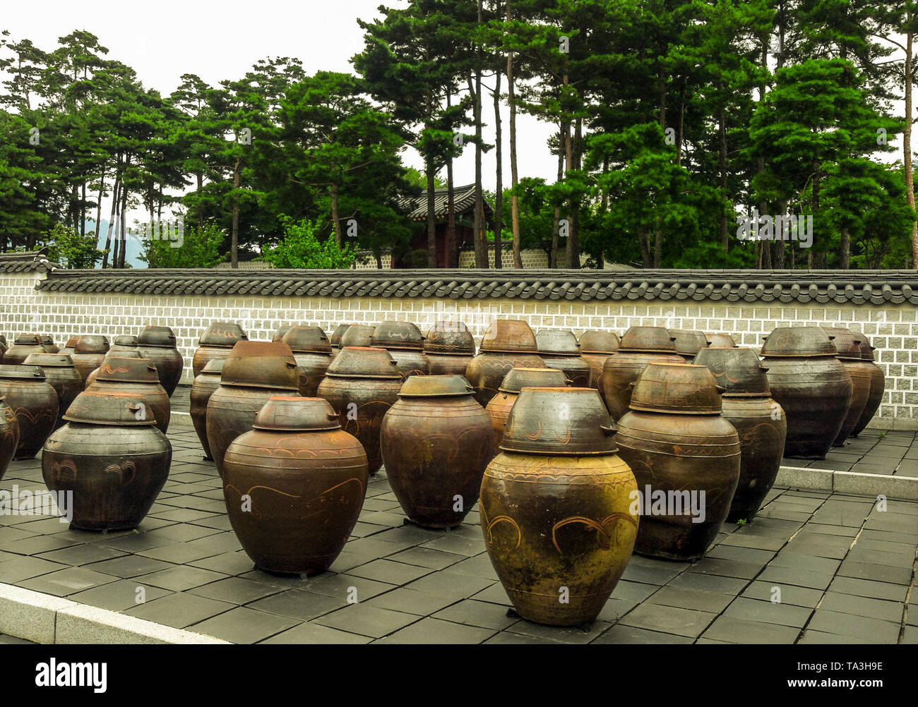 Travel to Seoul in Korea - Food storage jars Stock Photo - Alamy