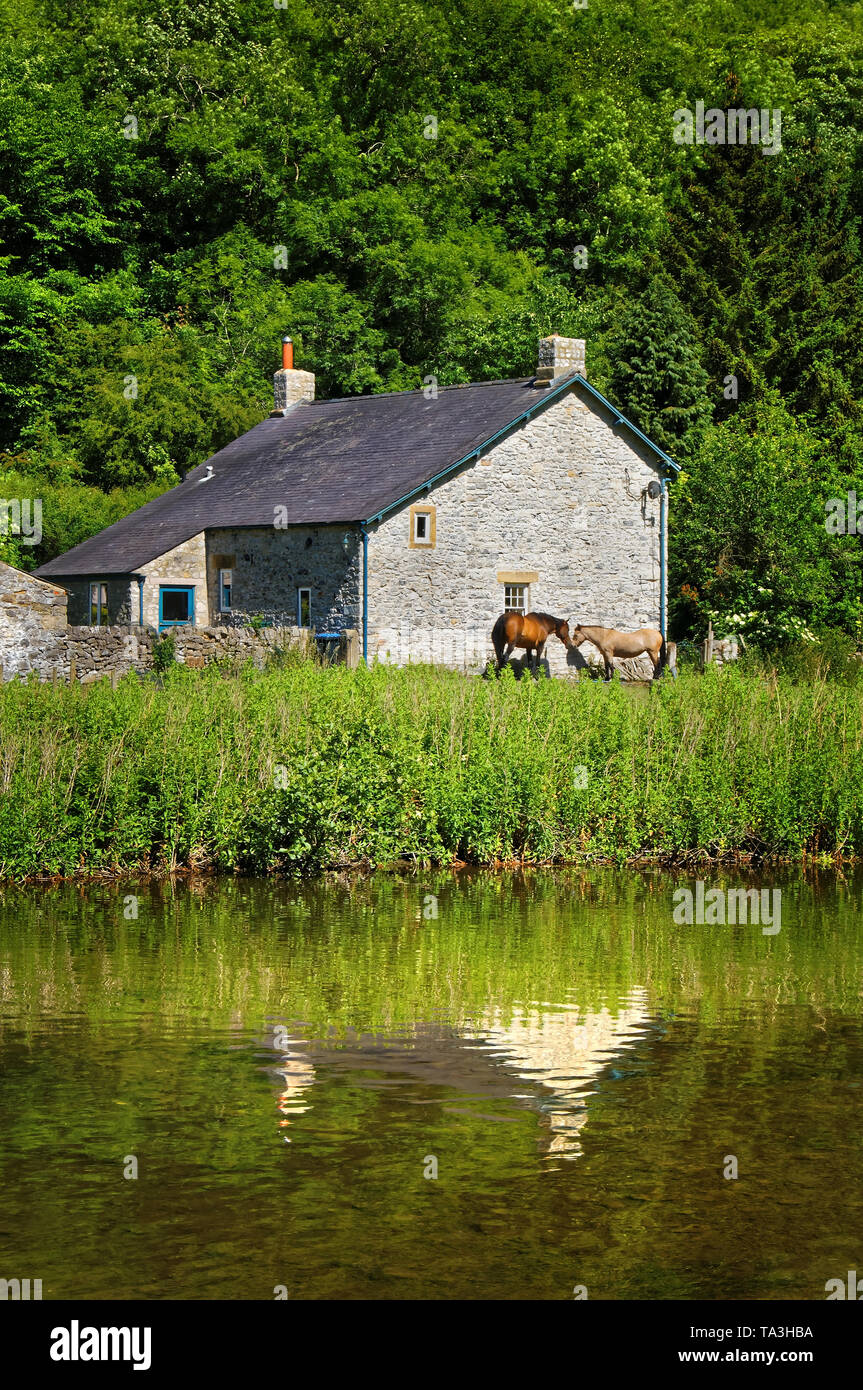 Netherdale hi-res stock photography and images - Alamy