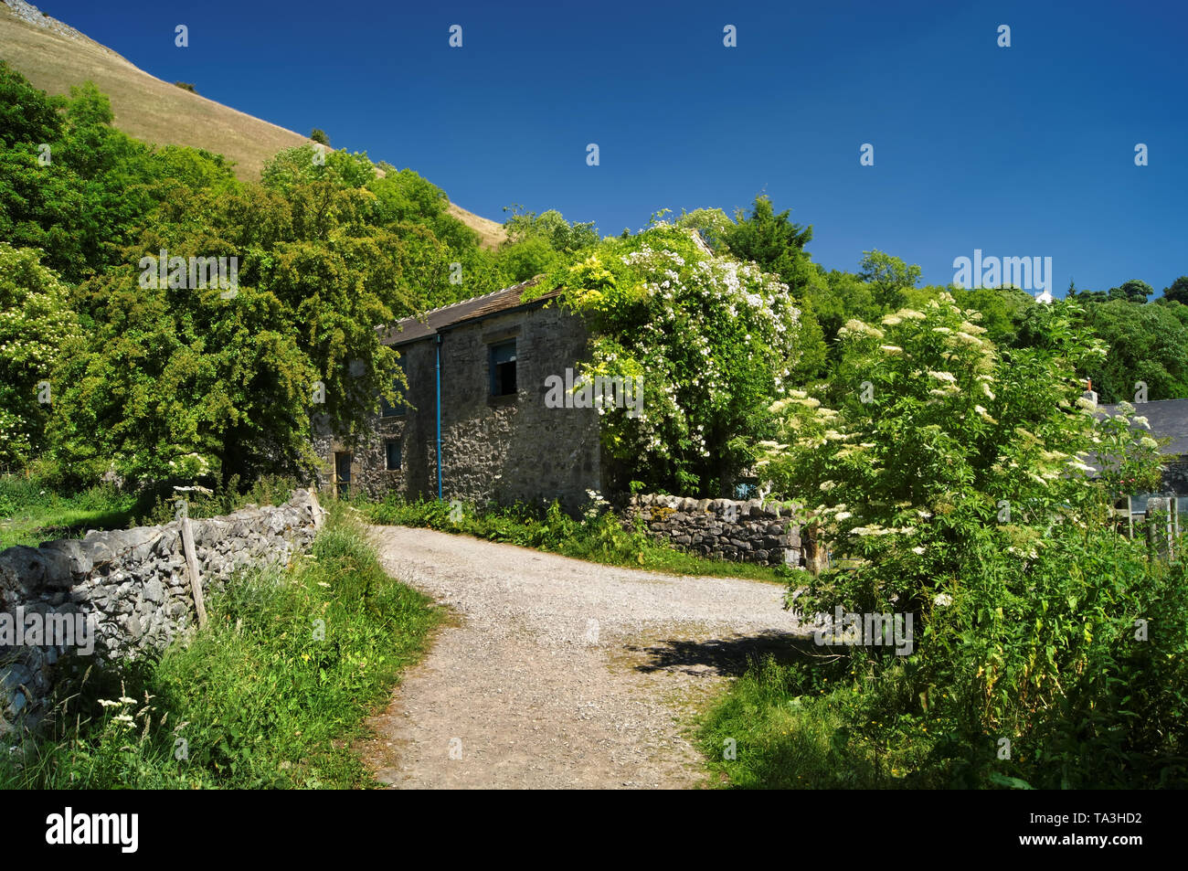 UK, Derbyshire, Peak District, Monsal Dale, Barn and Footpath near ...