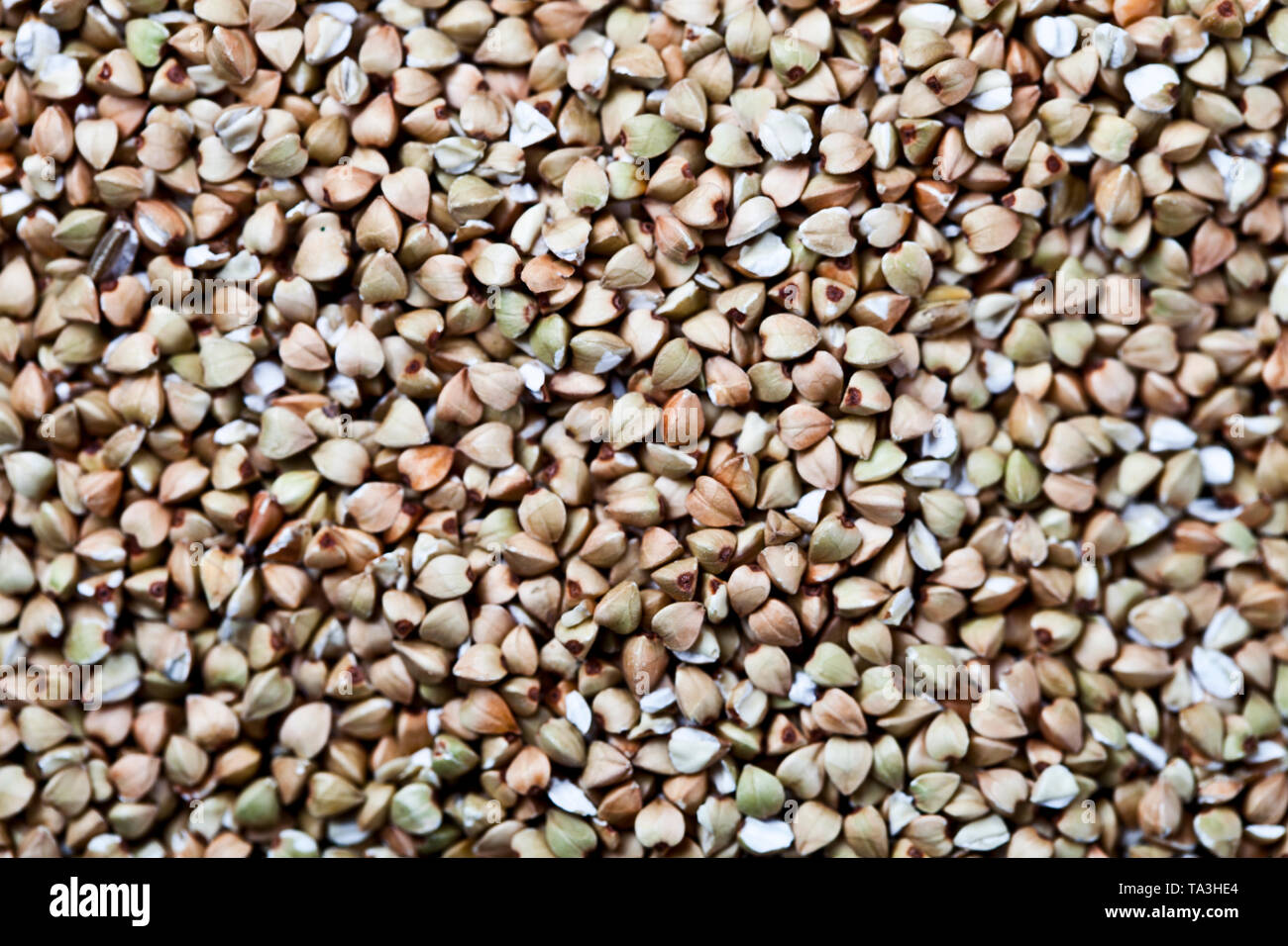 Fresh green dry buckwheat background. Buckwheat texture Stock Photo - Alamy