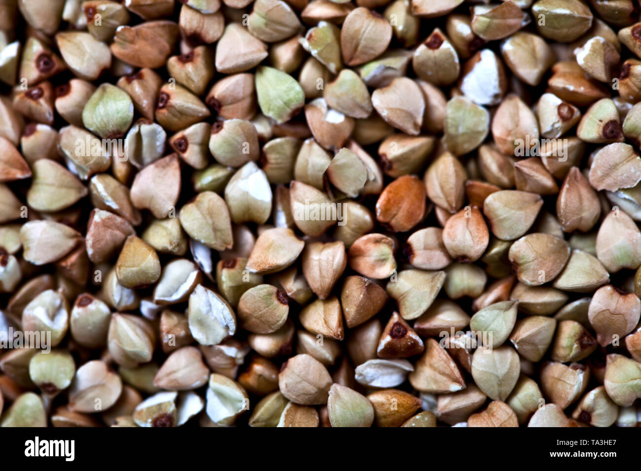 Fresh green dry buckwheat background. Buckwheat texture Stock Photo - Alamy