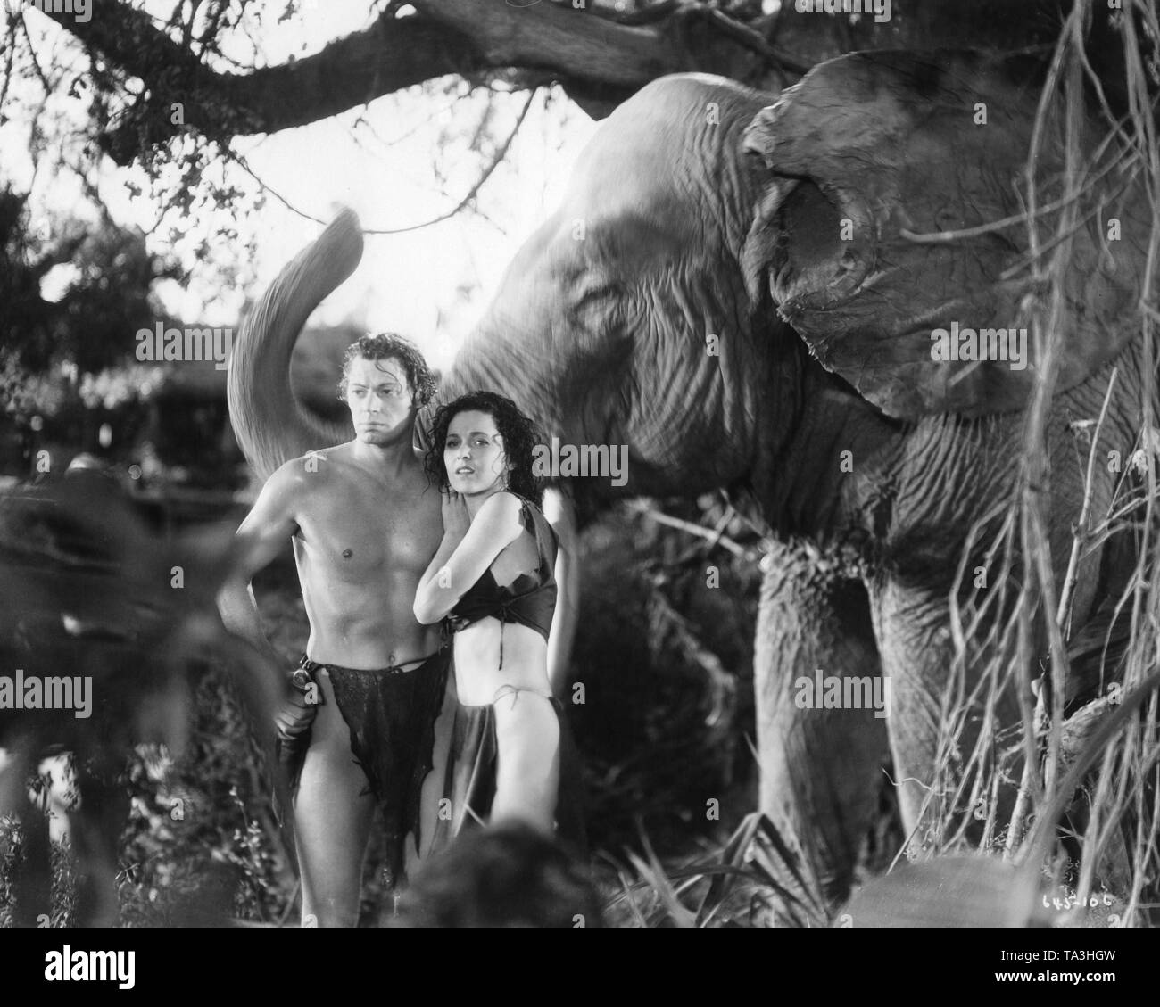 Johnny Weissmuller as Tarzan Maureen O'Sullivan as Jane TARZAN AND HIS MATE 1934 director Cedric ...