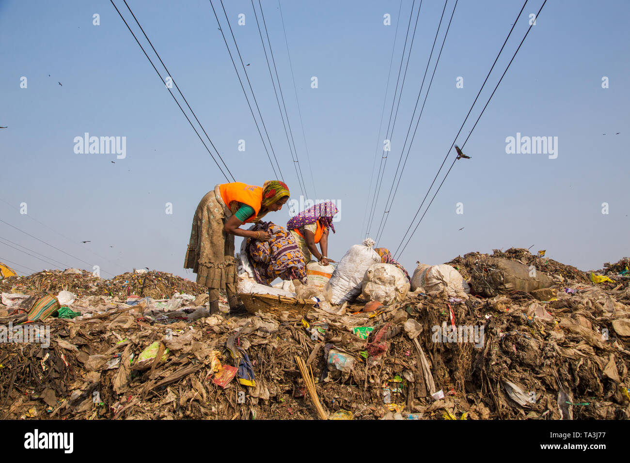 Women collecting recyclable plastics, papers, metal scraps, tin cans ...