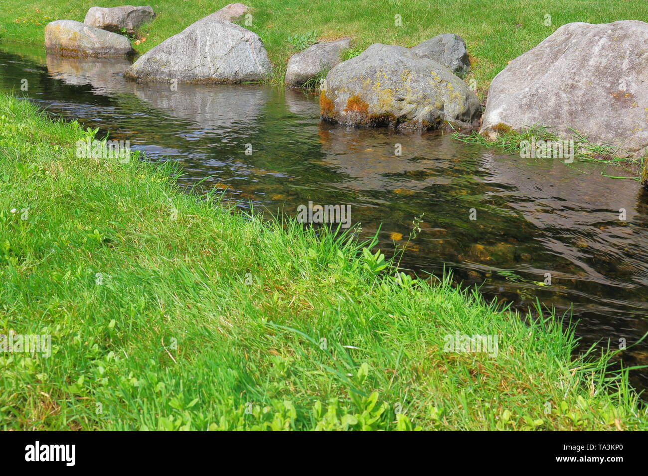 Small stream flowing through grassy area Stock Photo - Alamy