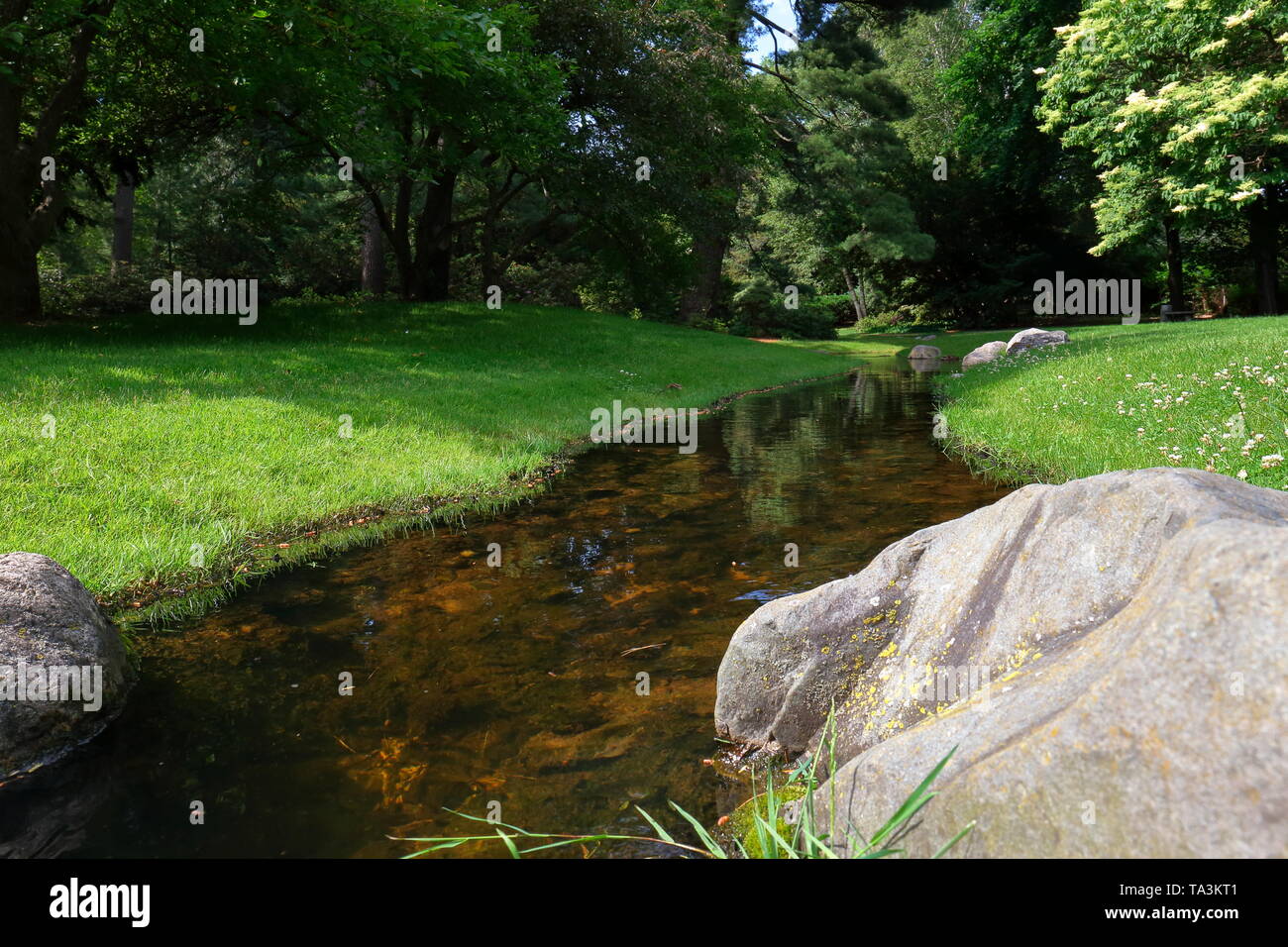 Small, slow flowing stream surrounded by grass Stock Photo - Alamy
