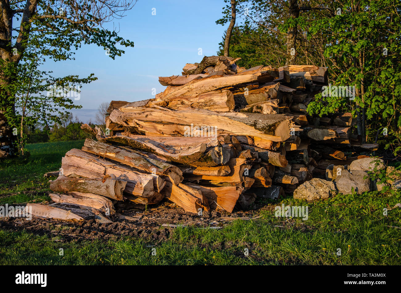 Forestry is the science and craft of creating, managing, using ... Forestry is the science and craft of creating, managing, using ...