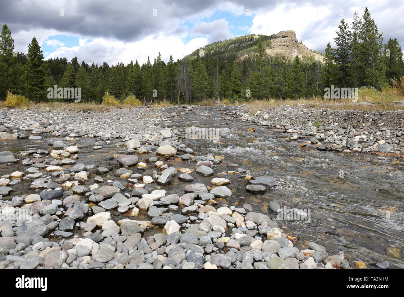 Small shallow hi-res stock photography and images - Alamy