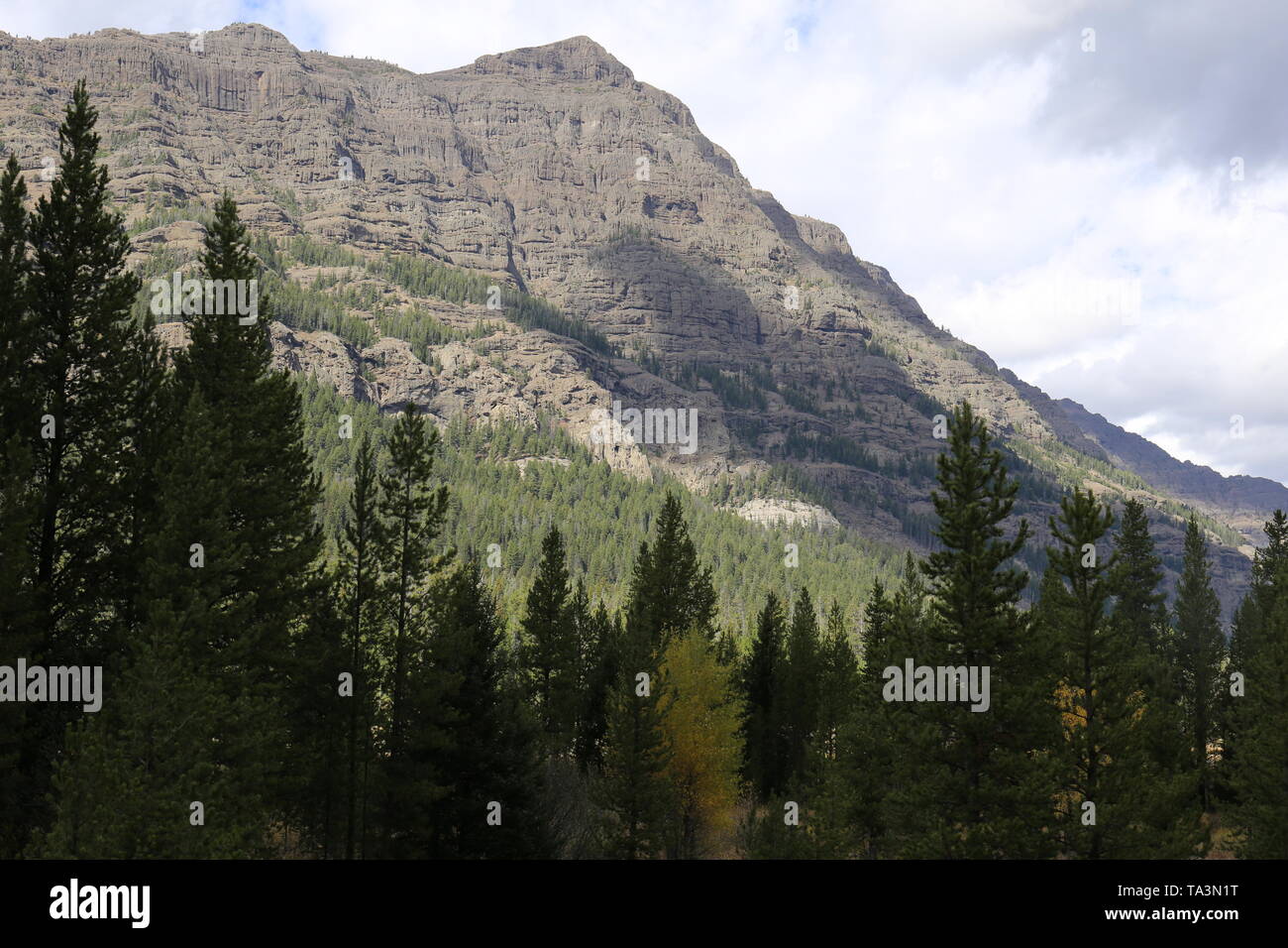 Steep mountain with evergreen trees in foreground hi-res stock ...