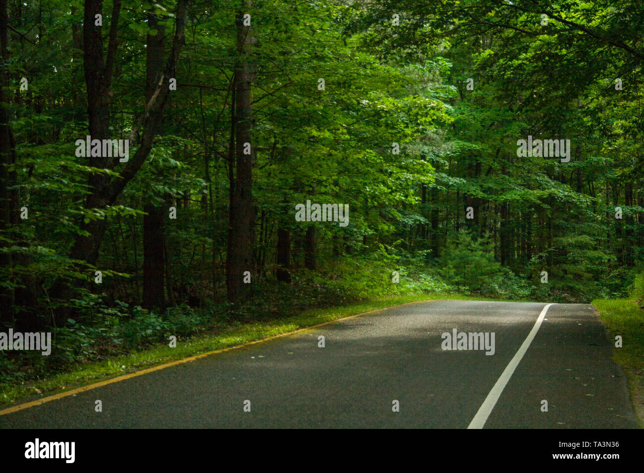 Pierce Stocking Scenic Drive, Sleeping Bear Dunes National Lakeshore ...