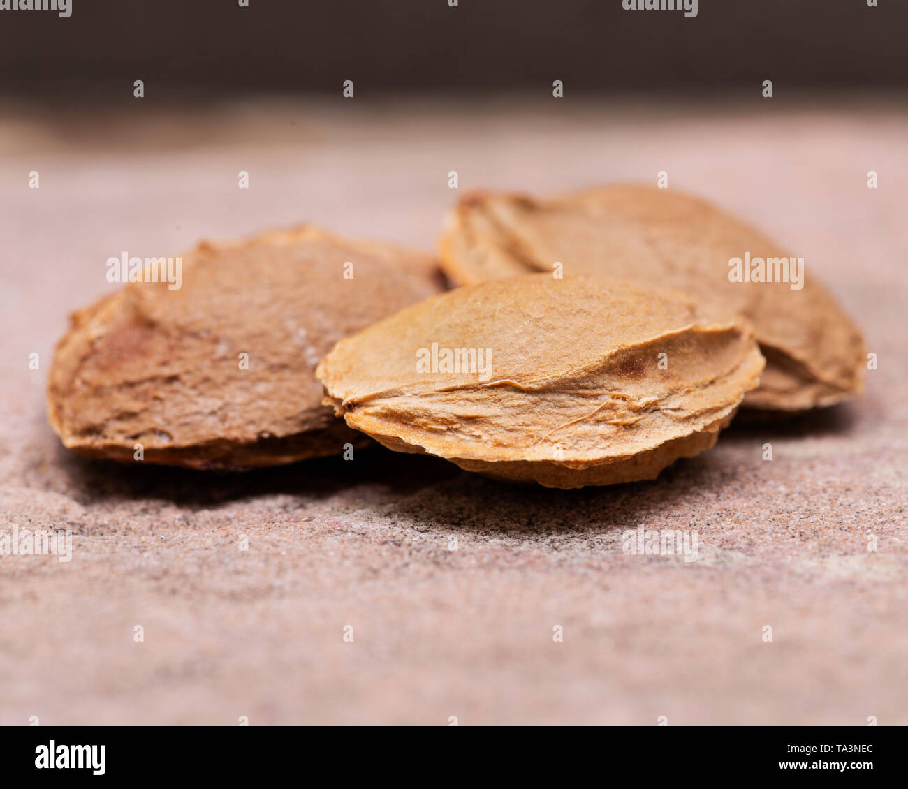 Dried Apricot Kernels (the seed of an apricot, often called a "stone ...