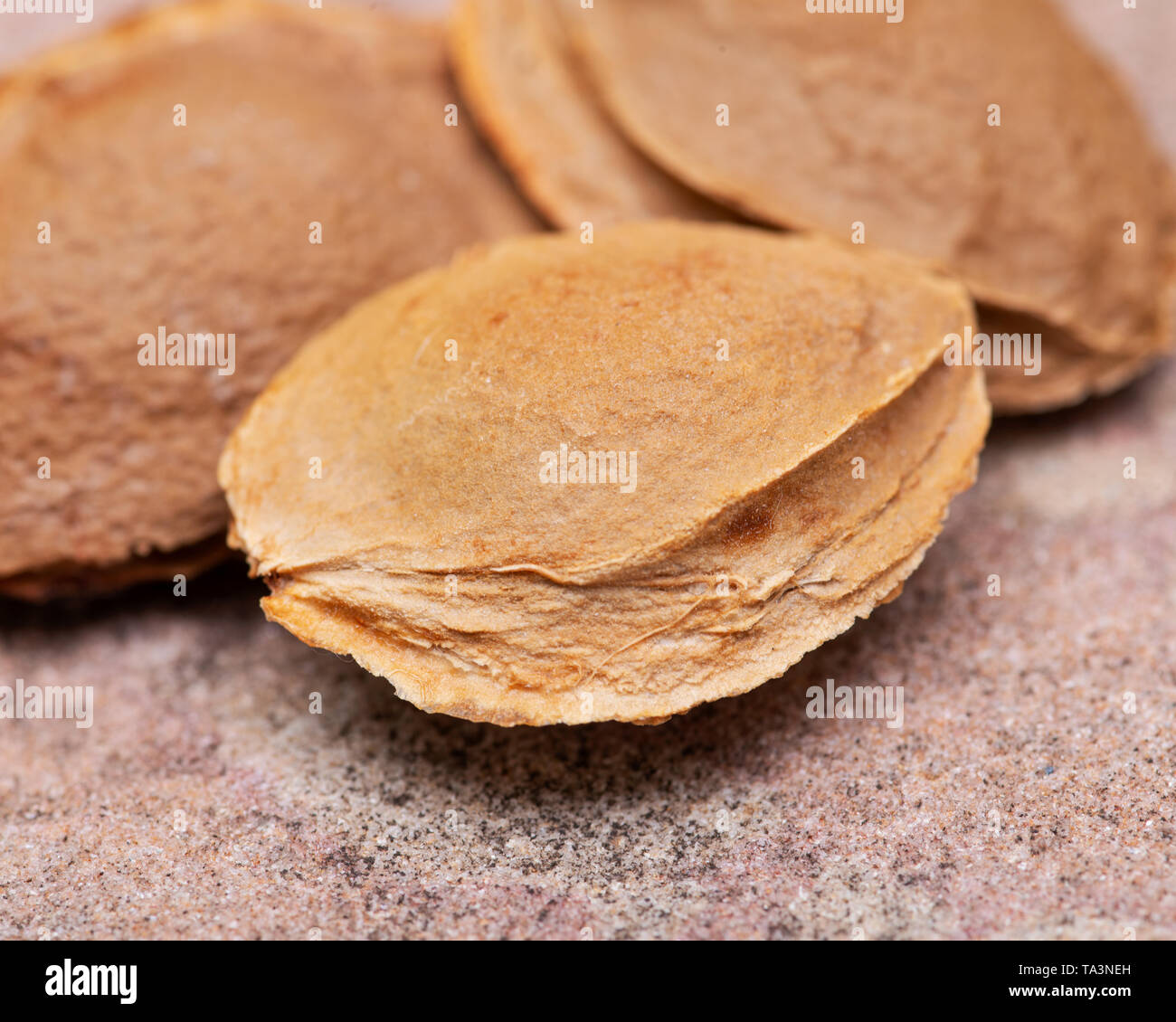 Dried Apricot Kernels (the seed of an apricot, often called a "stone ...