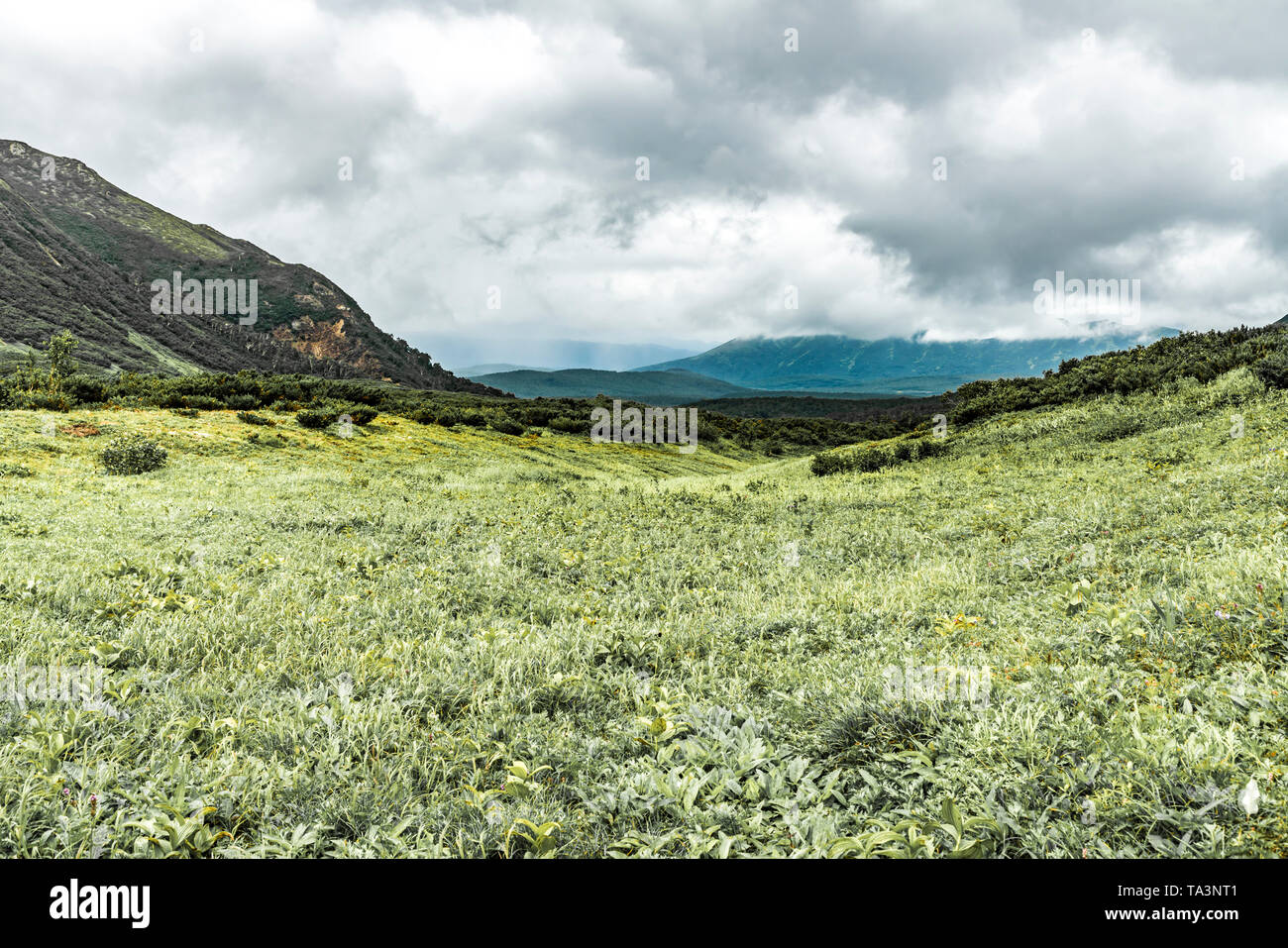 landscape with green plains on Kamchatka peninsula, Russia Stock Photo ...