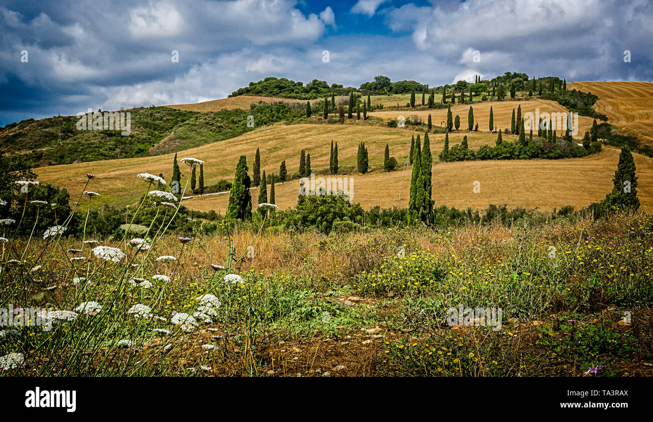 Classic tuscan scenery hi-res stock photography and images - Alamy