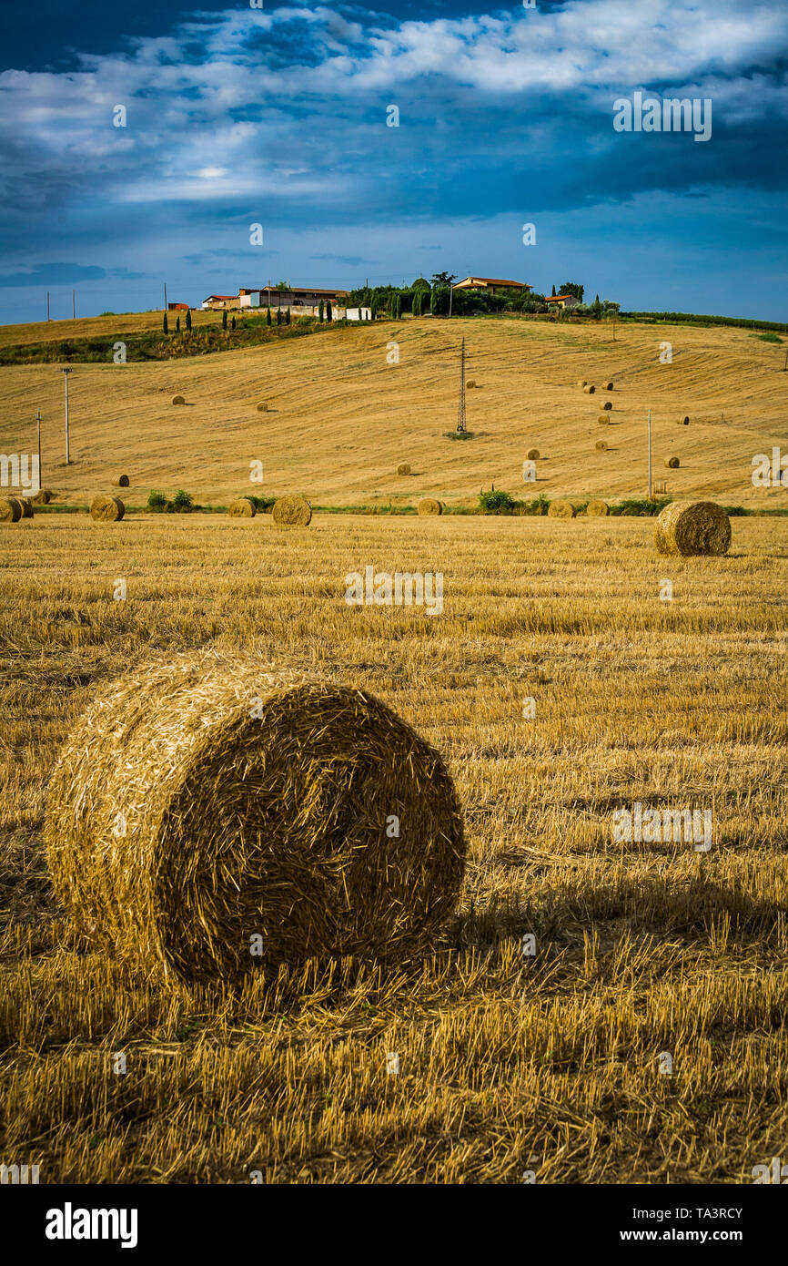 Harvested wheat field tuscany hi-res stock photography and images - Alamy