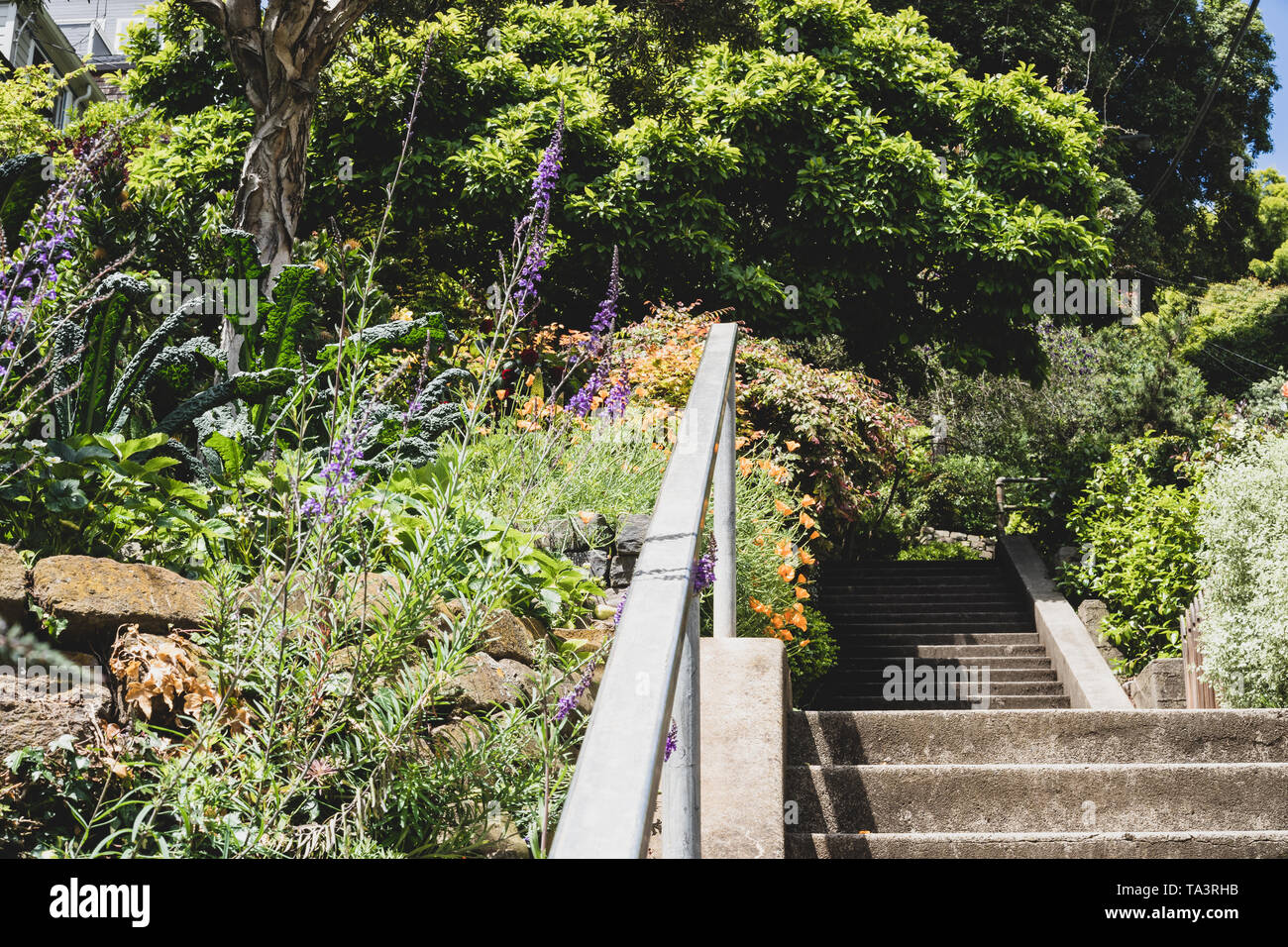 Things to do in sf hi-res stock photography and images - Alamy