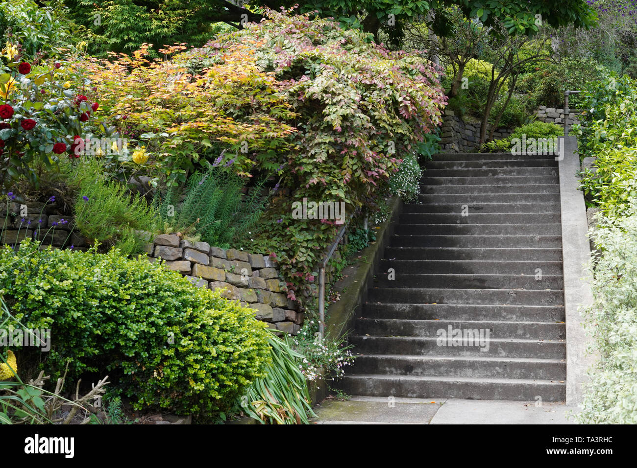 Hilly san francisco streets hi-res stock photography and images - Alamy