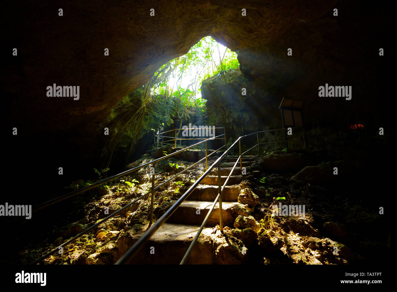 Limestone Cave in Ishigaki Island, Okinawa Prefecture, Japan Stock ...