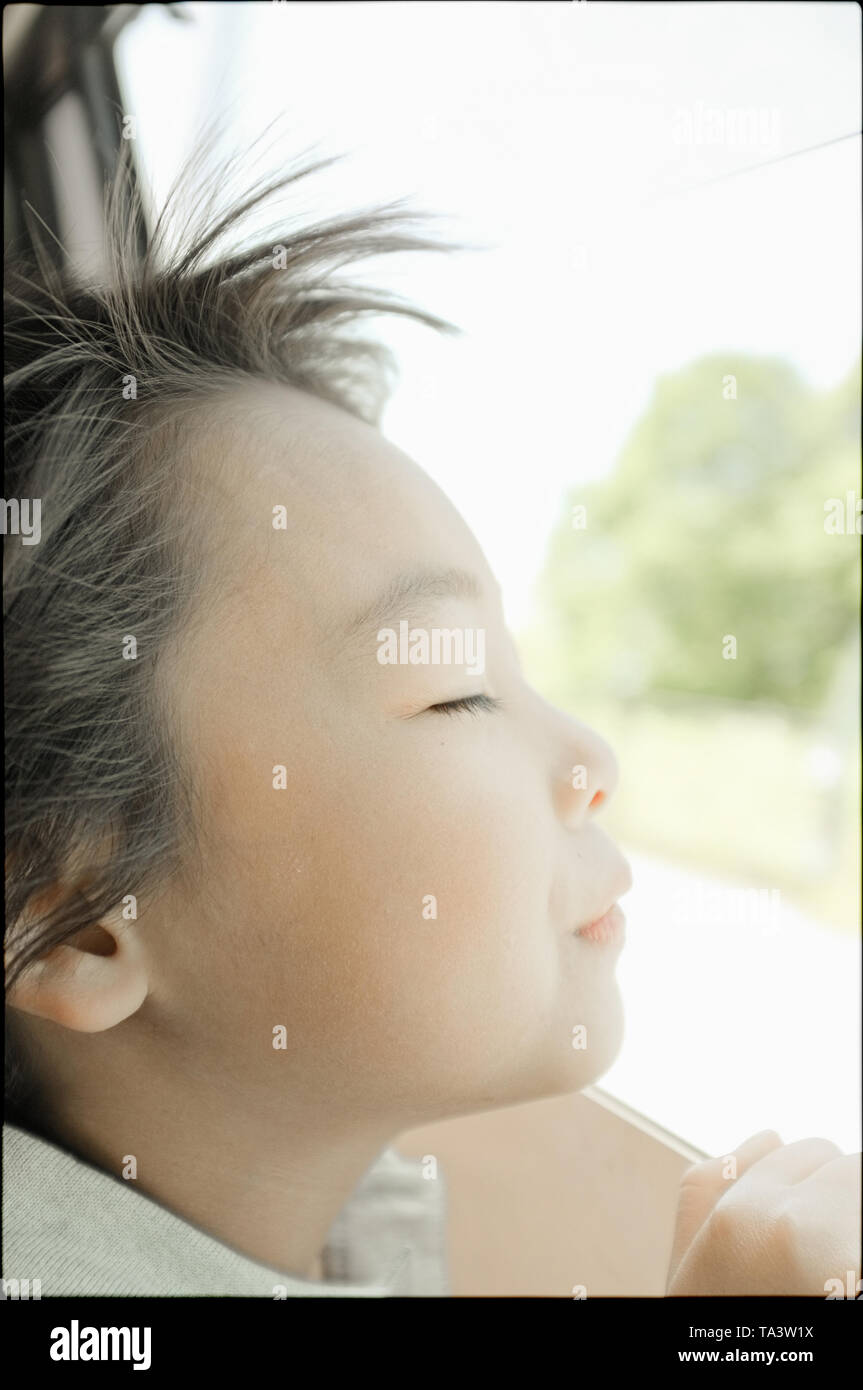 Child sticking head out of car window Stock Photo - Alamy