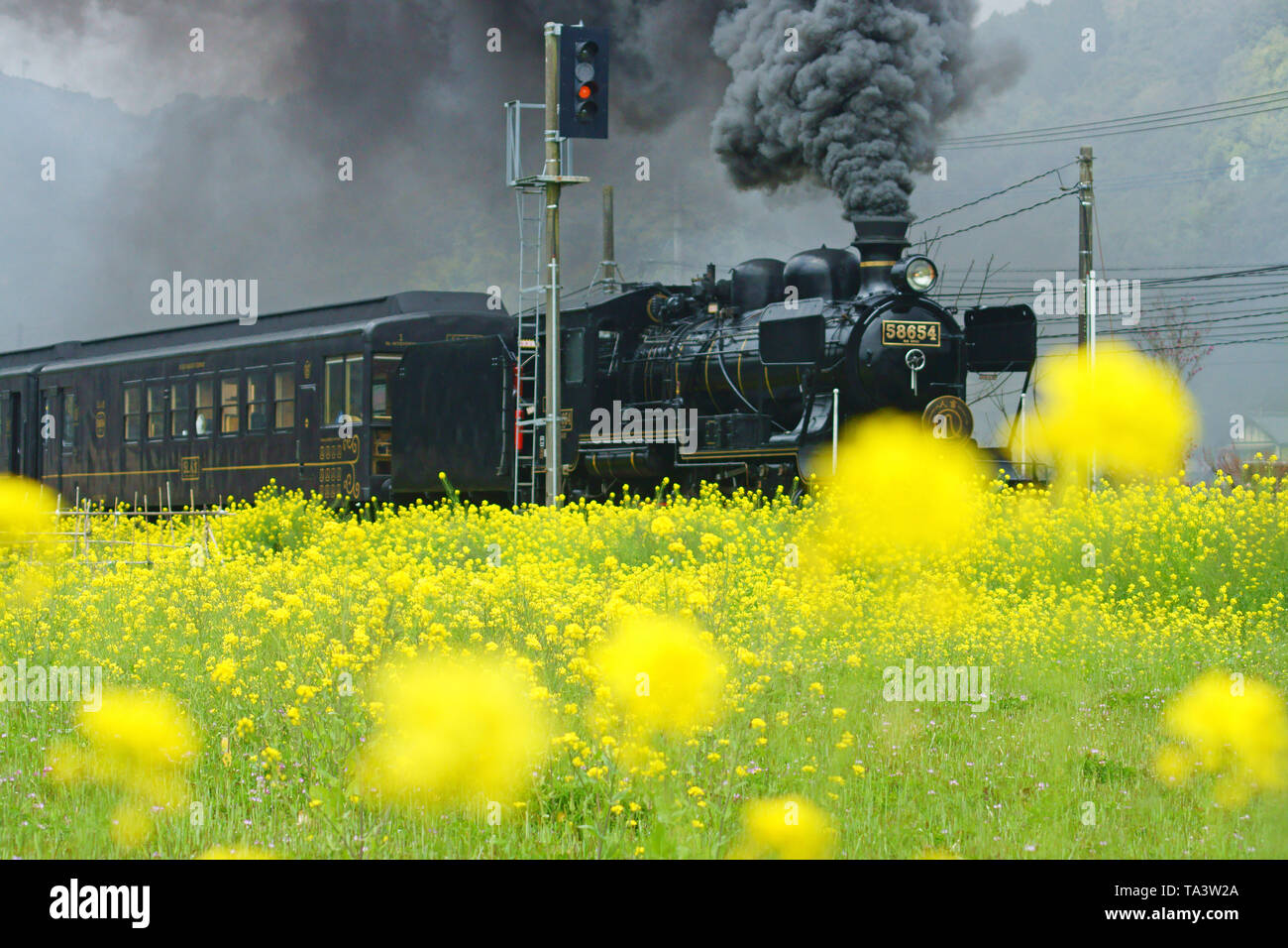 SL Hitoyoshi (Steam locomotive) in spring Stock Photo - Alamy