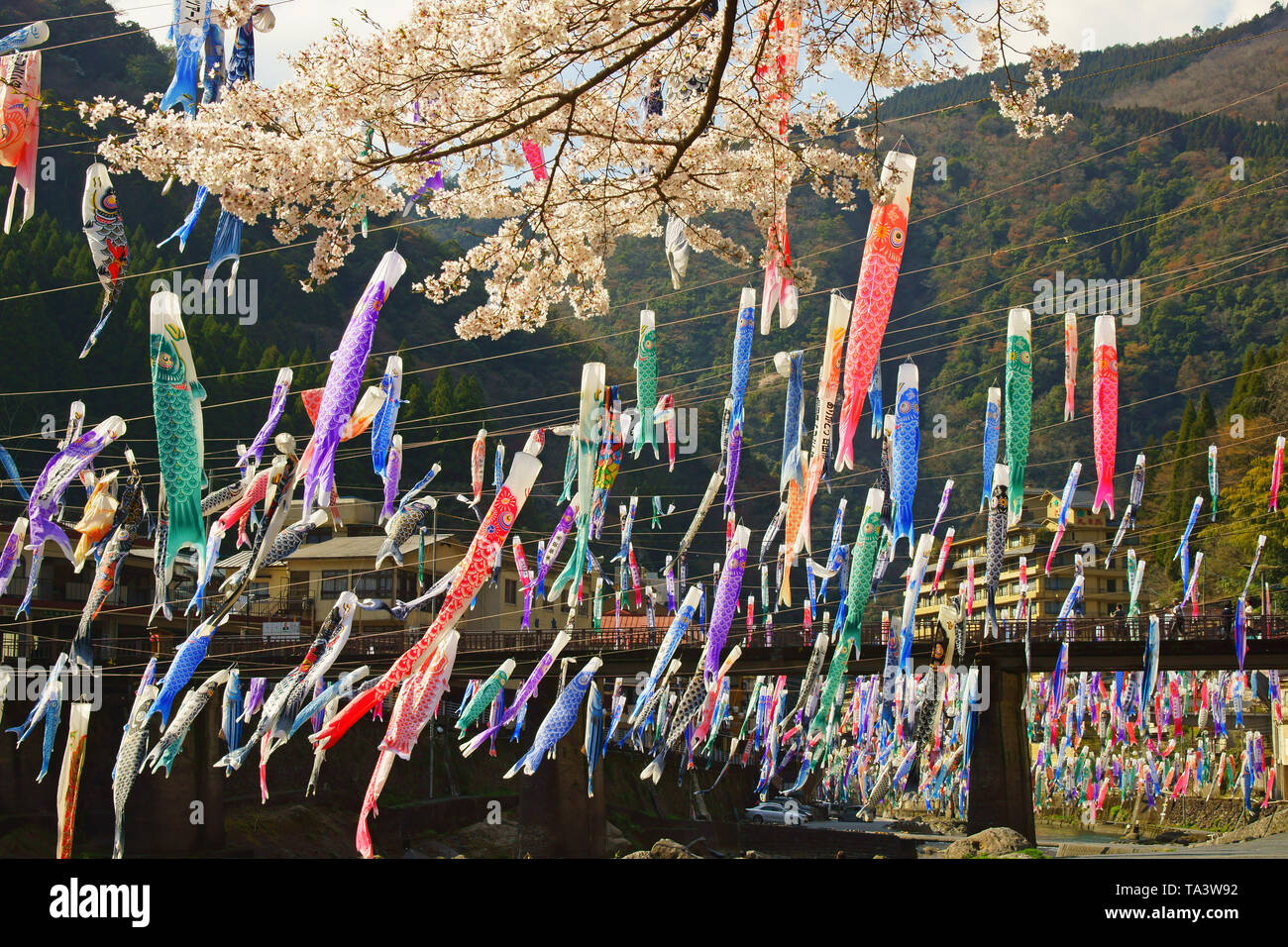 Tsuetate-onsen Hot Springs Koinobori (Carp Streamers) Festival ...