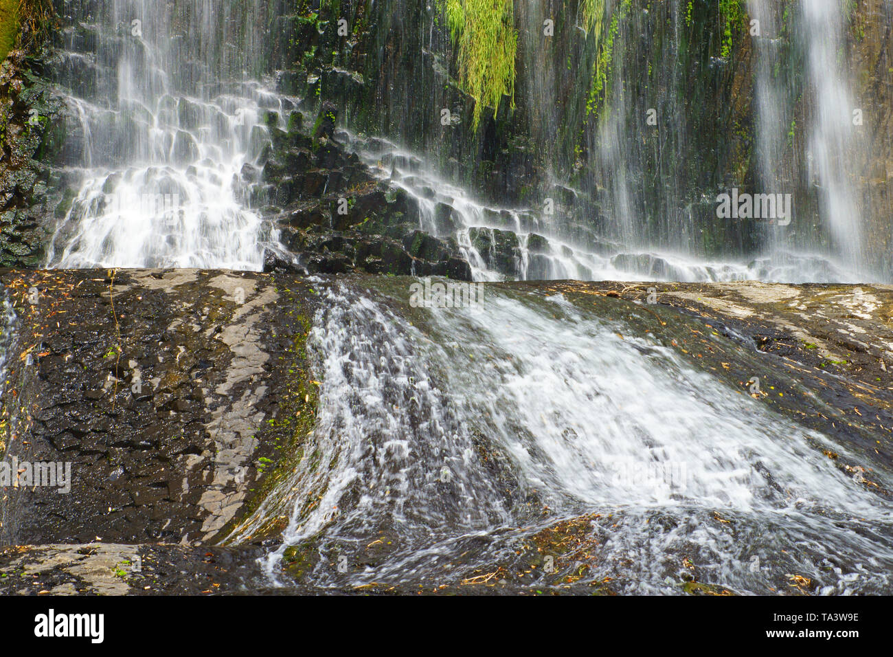 Ryumon hi-res stock photography and images - Alamy