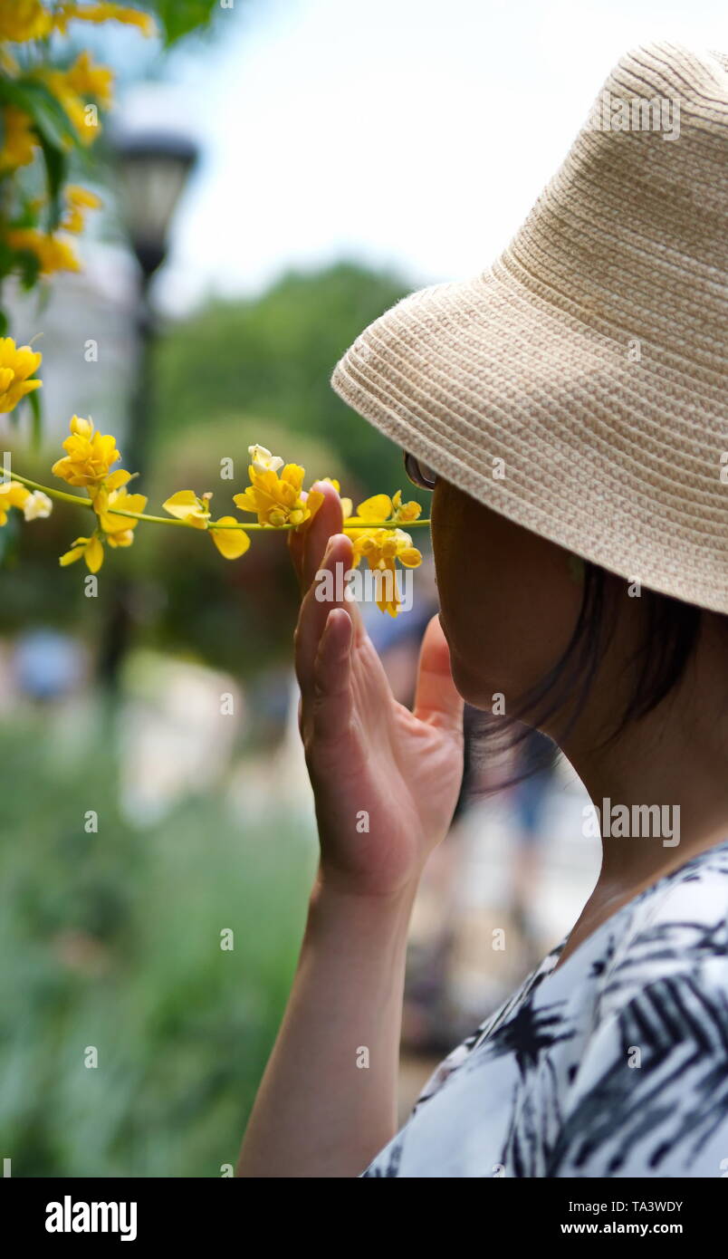 Asian woman smelling flowers hi-res stock photography and images - Alamy