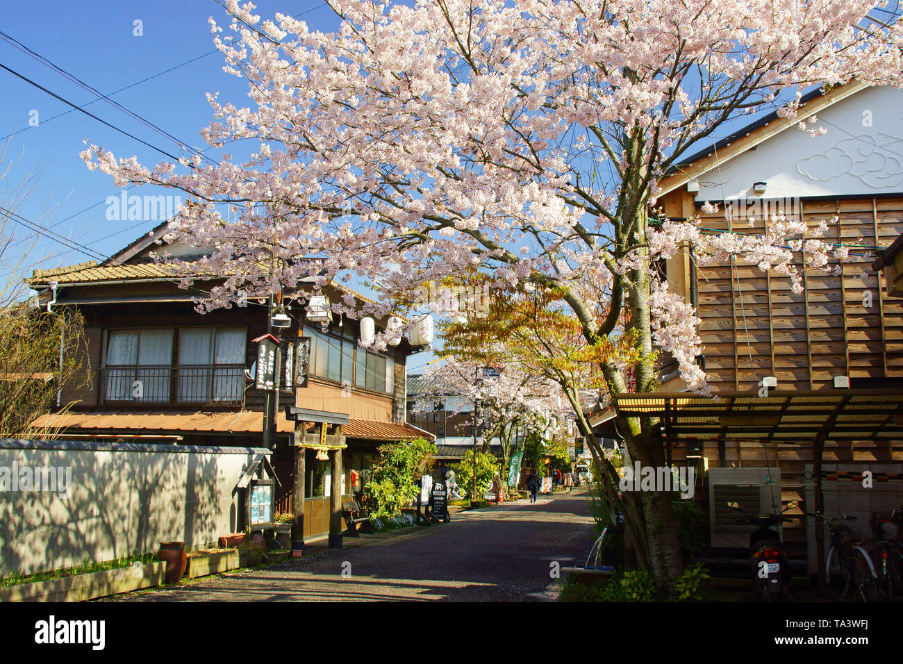 Aso Shrine, Monzenmachi (Shrine town), Kumamoto Prefecture, Japan Stock ... Aso Shrine, Monzenmachi (Shrine town), Kumamoto Prefecture, Japan Stock ...