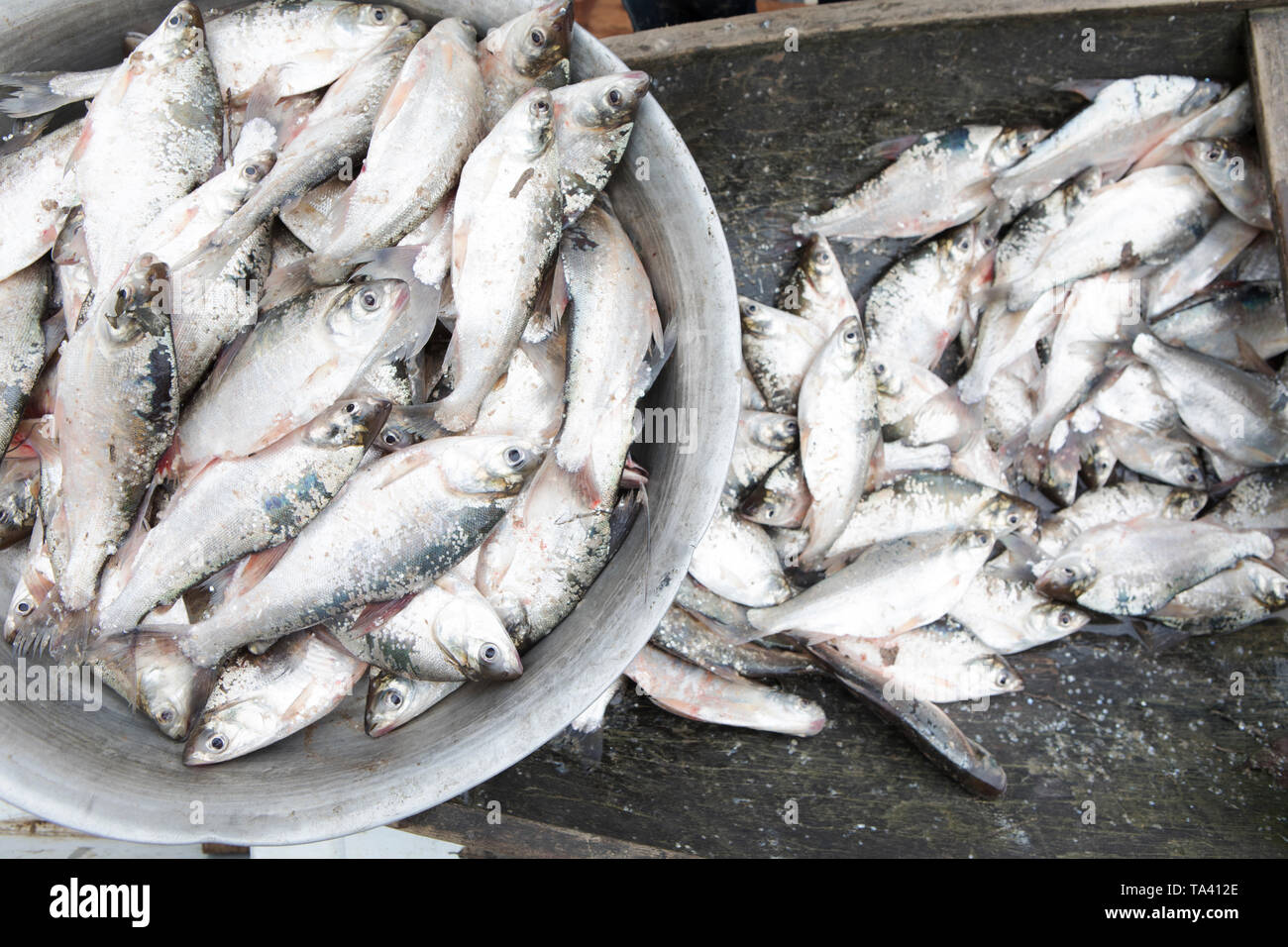 Marubo hi-res stock photography and images - Alamy