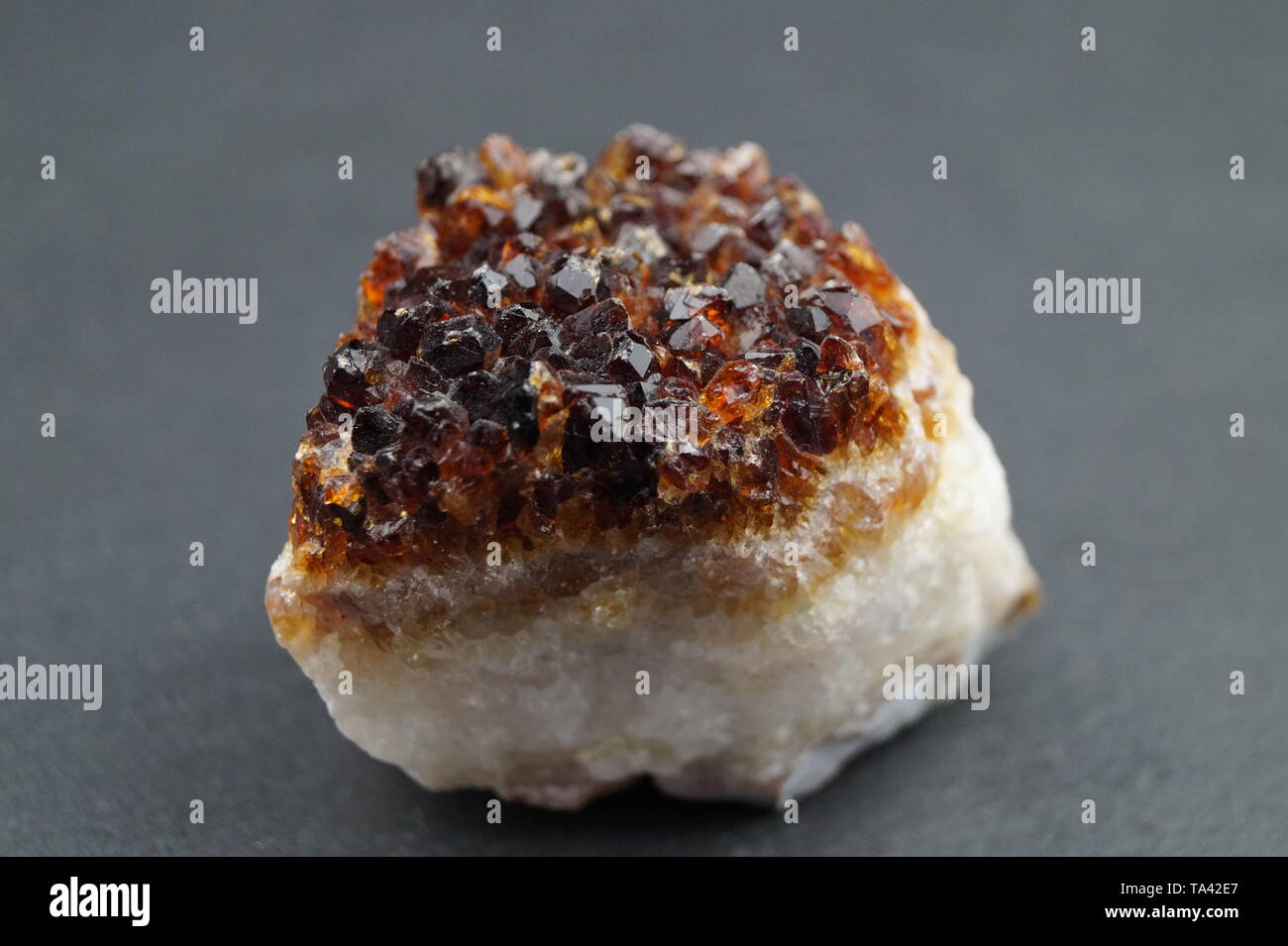 Citrin hi-res stock photography and images - Alamy