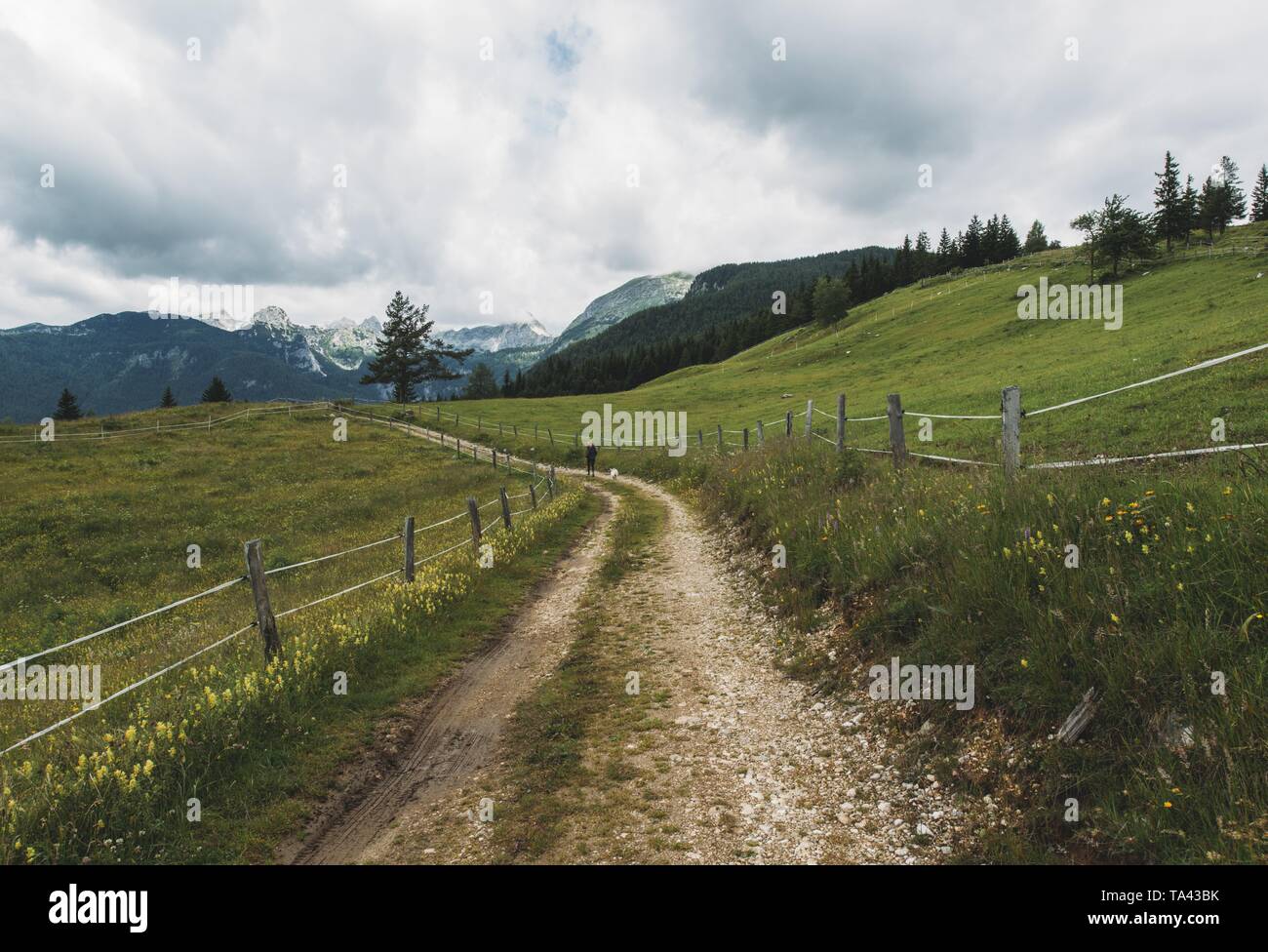 A narrow path in a beautiful green field Stock Photo - Alamy