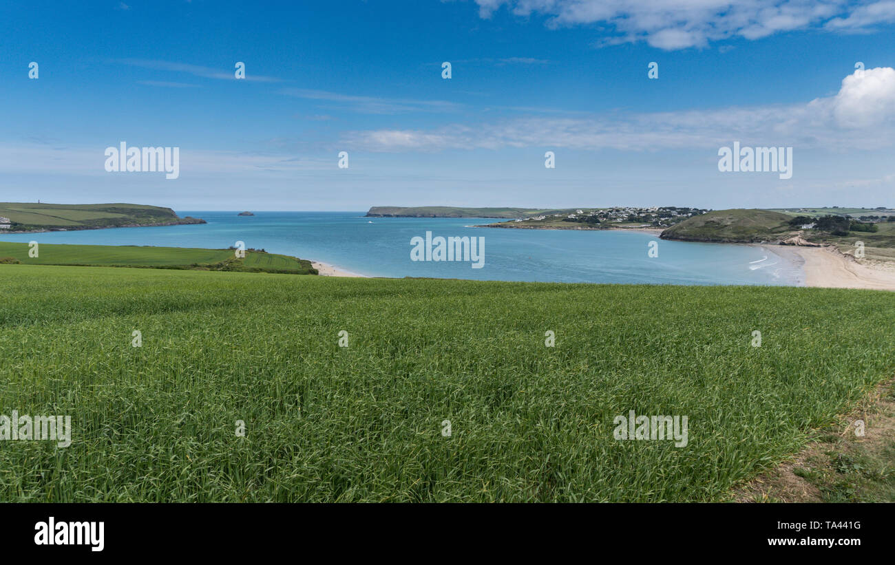 The river Camel Estuary, North Cornwall Stock Photo - Alamy