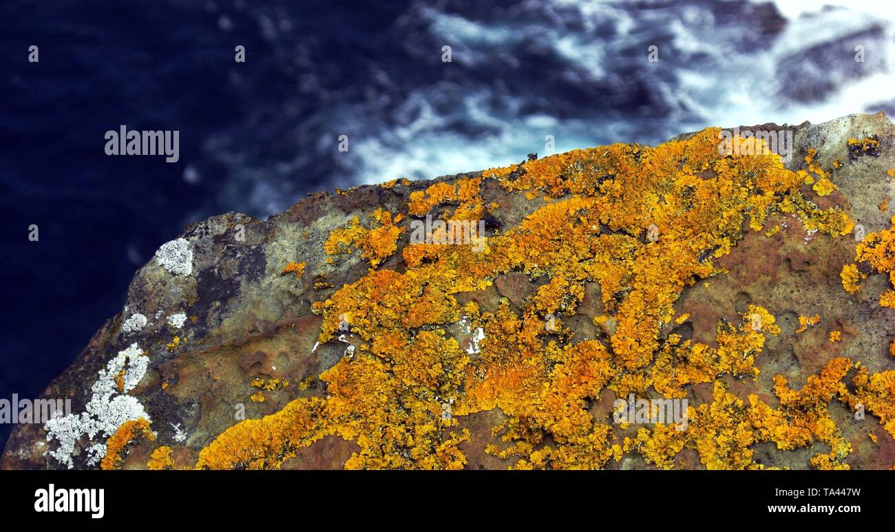 Rough scottish landscape in severe weather conditions Stock Photo - Alamy
